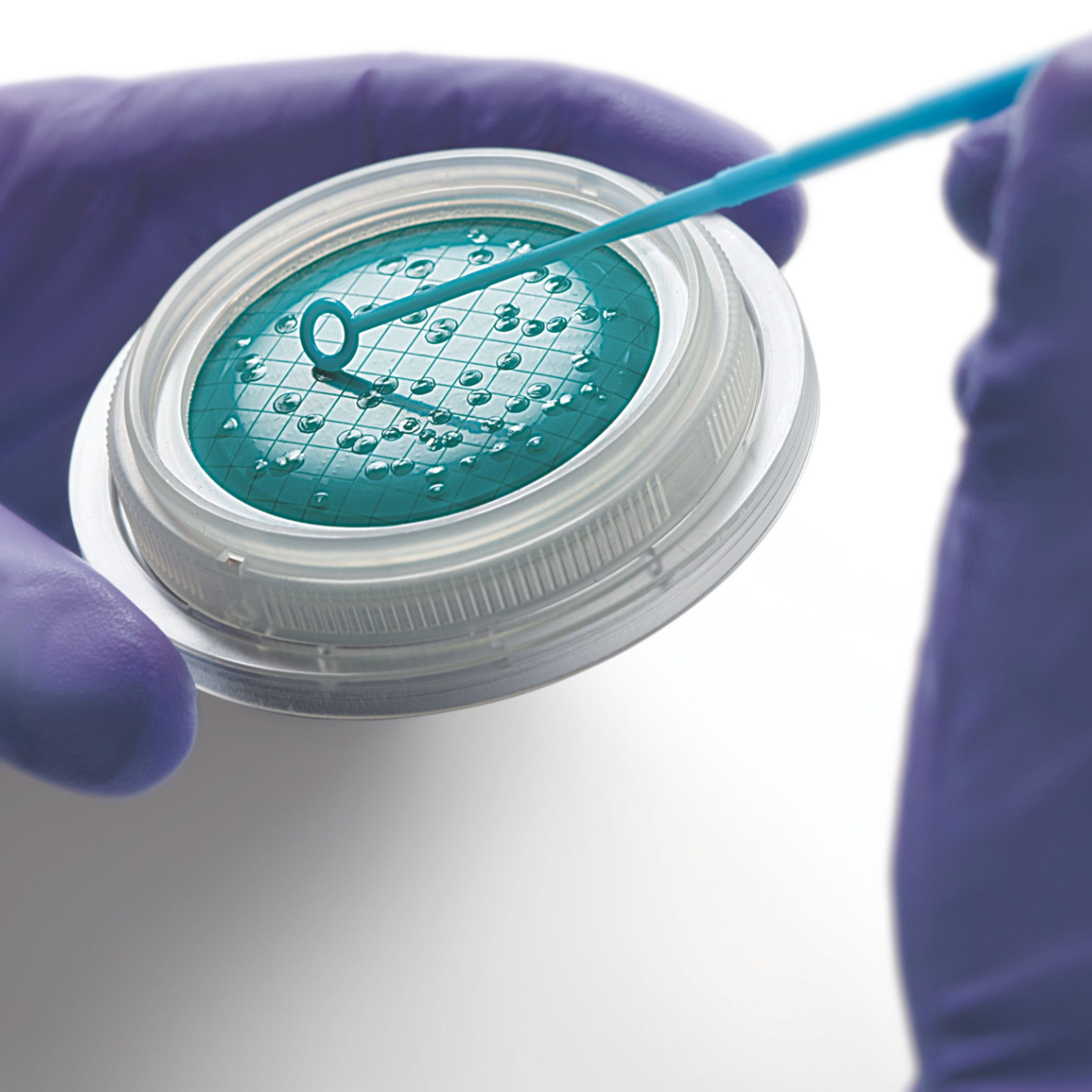 Somethin’ Buggin’ Ya? Get the Basics of Bioburden Testing