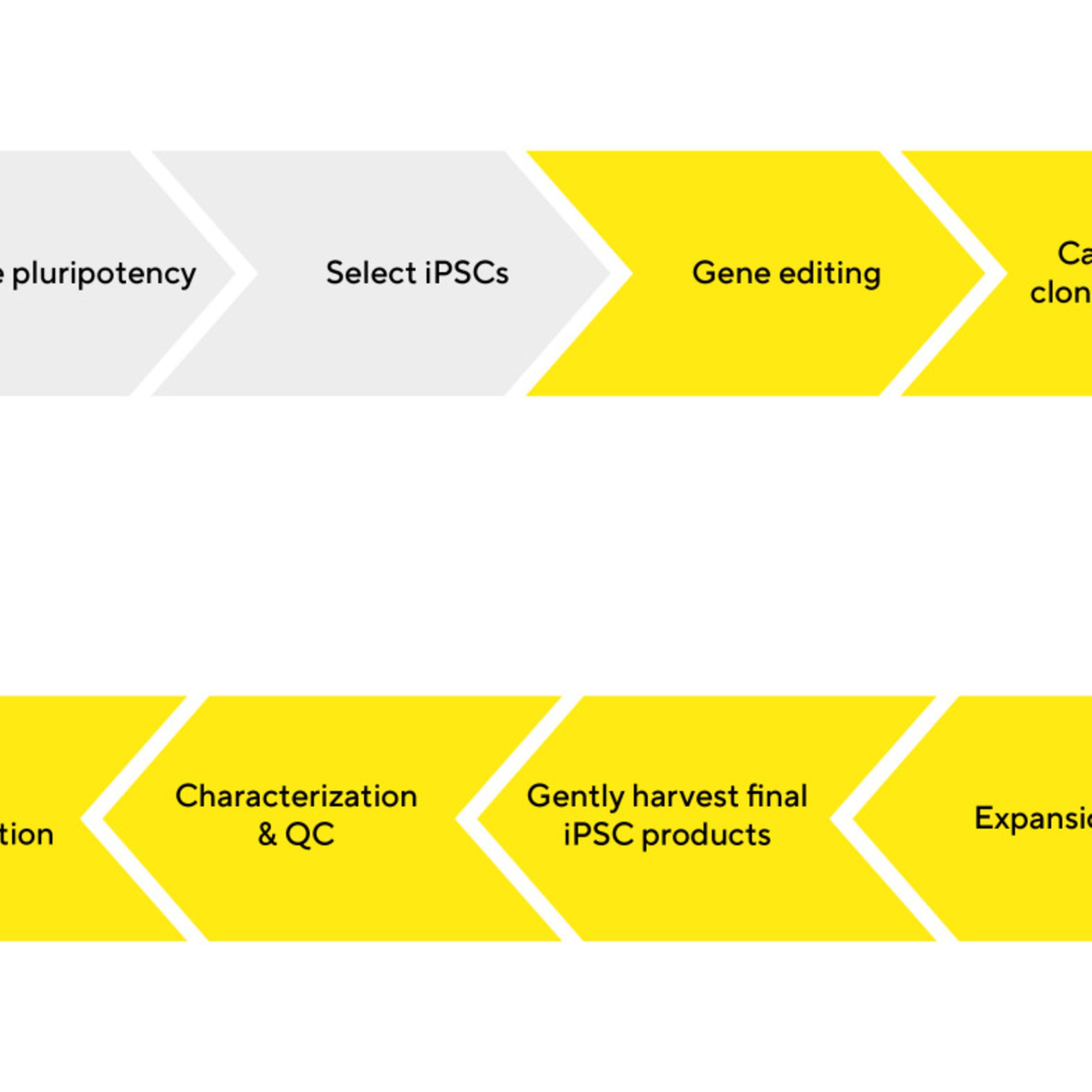 iPSC Therapy Research & Development | Sartorius