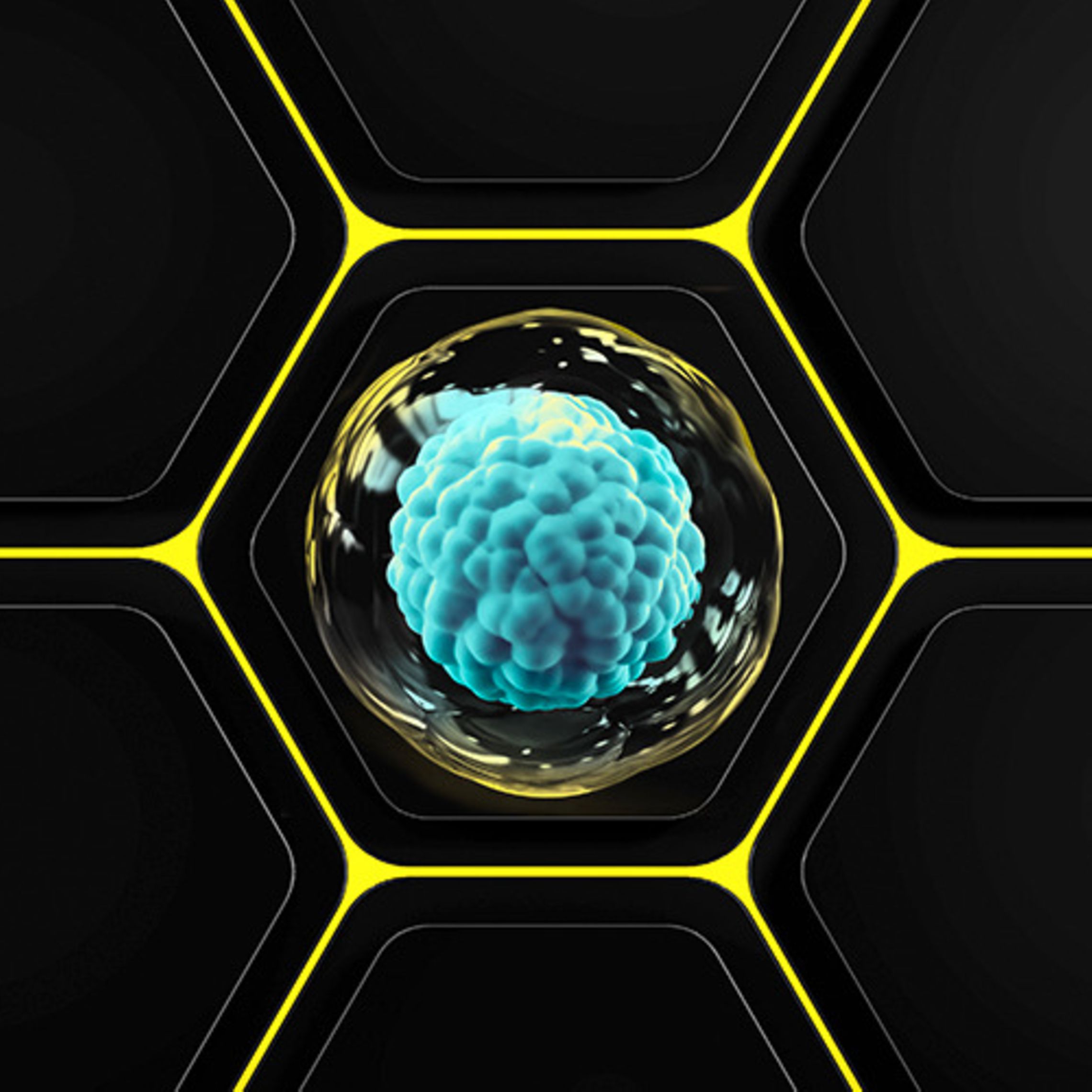 Cluster and Tissue Picking Technical Note - Cell Selection and ...