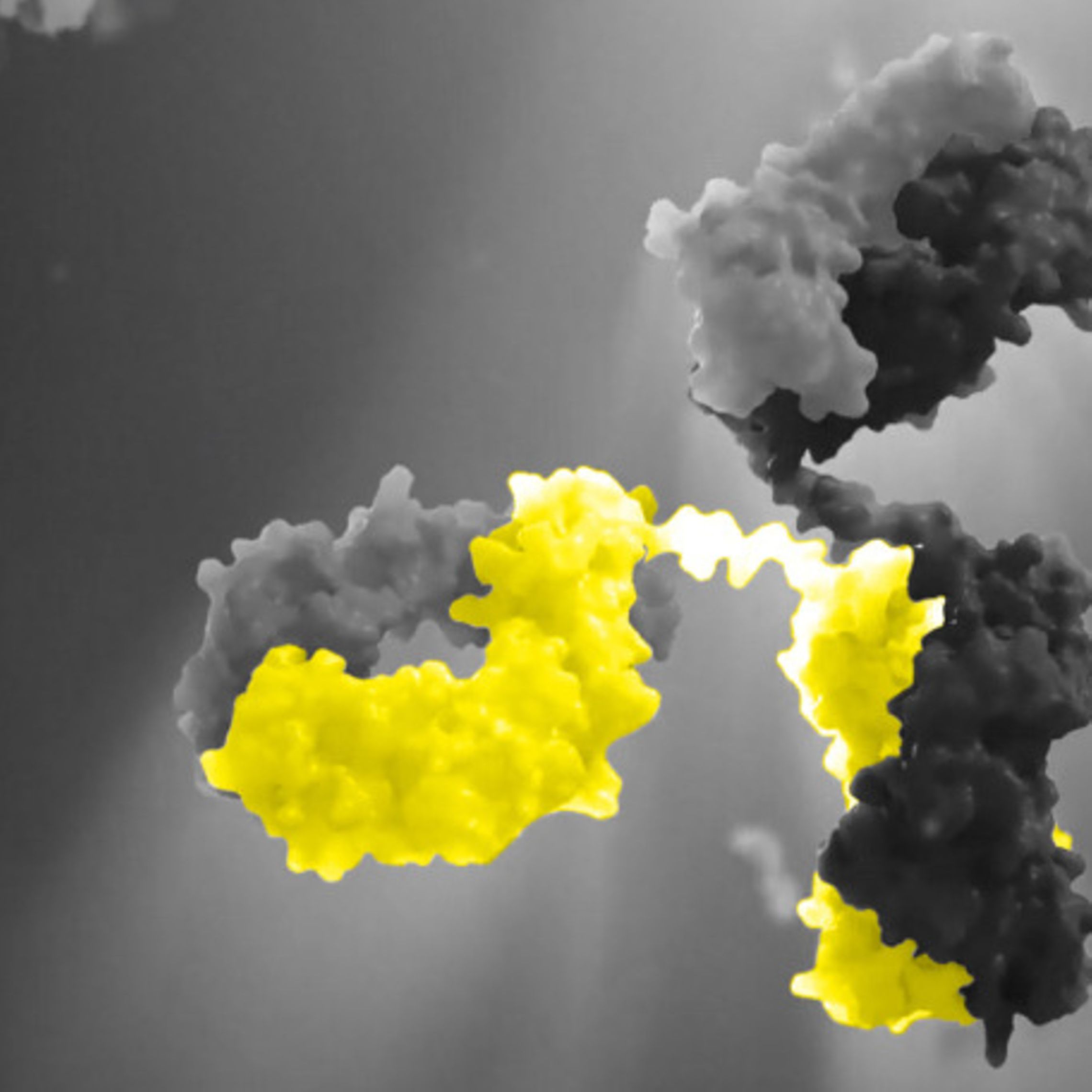 From Molecule to Market: Simplifying the Characterization of Antibody ...