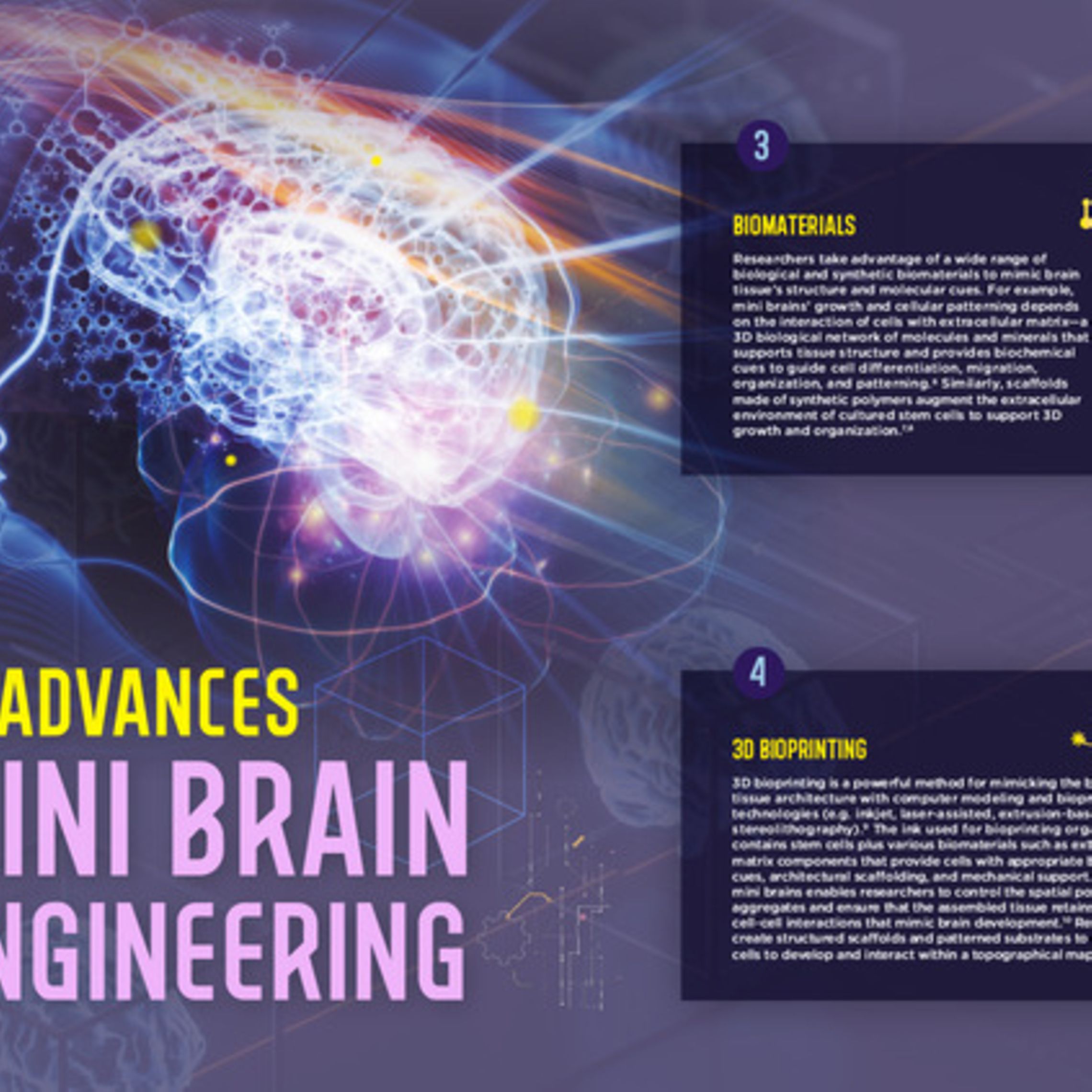 Mini Brain Bioengineering