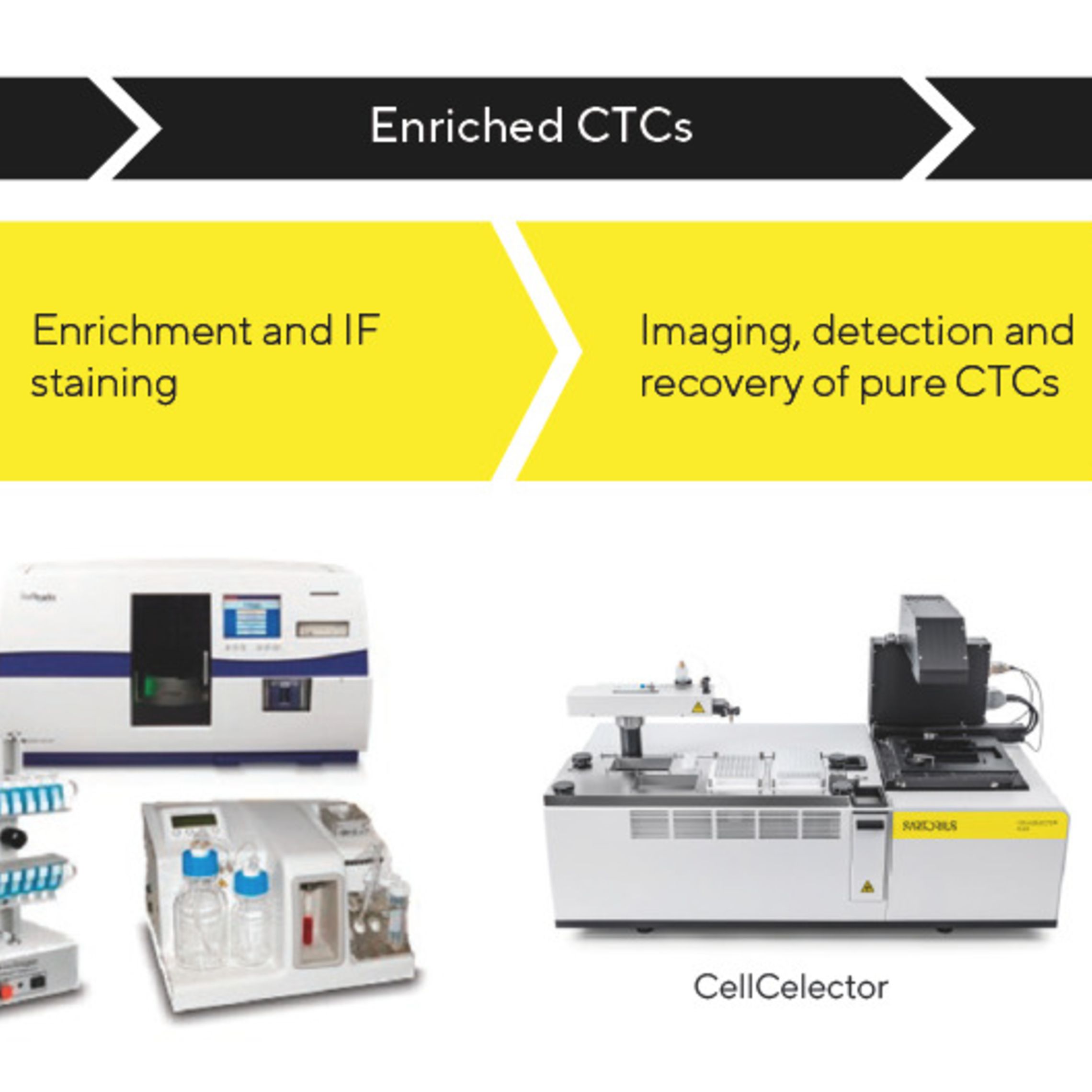 Rapid and Accurate Identification of Circulating Tumor Cells Technical ...