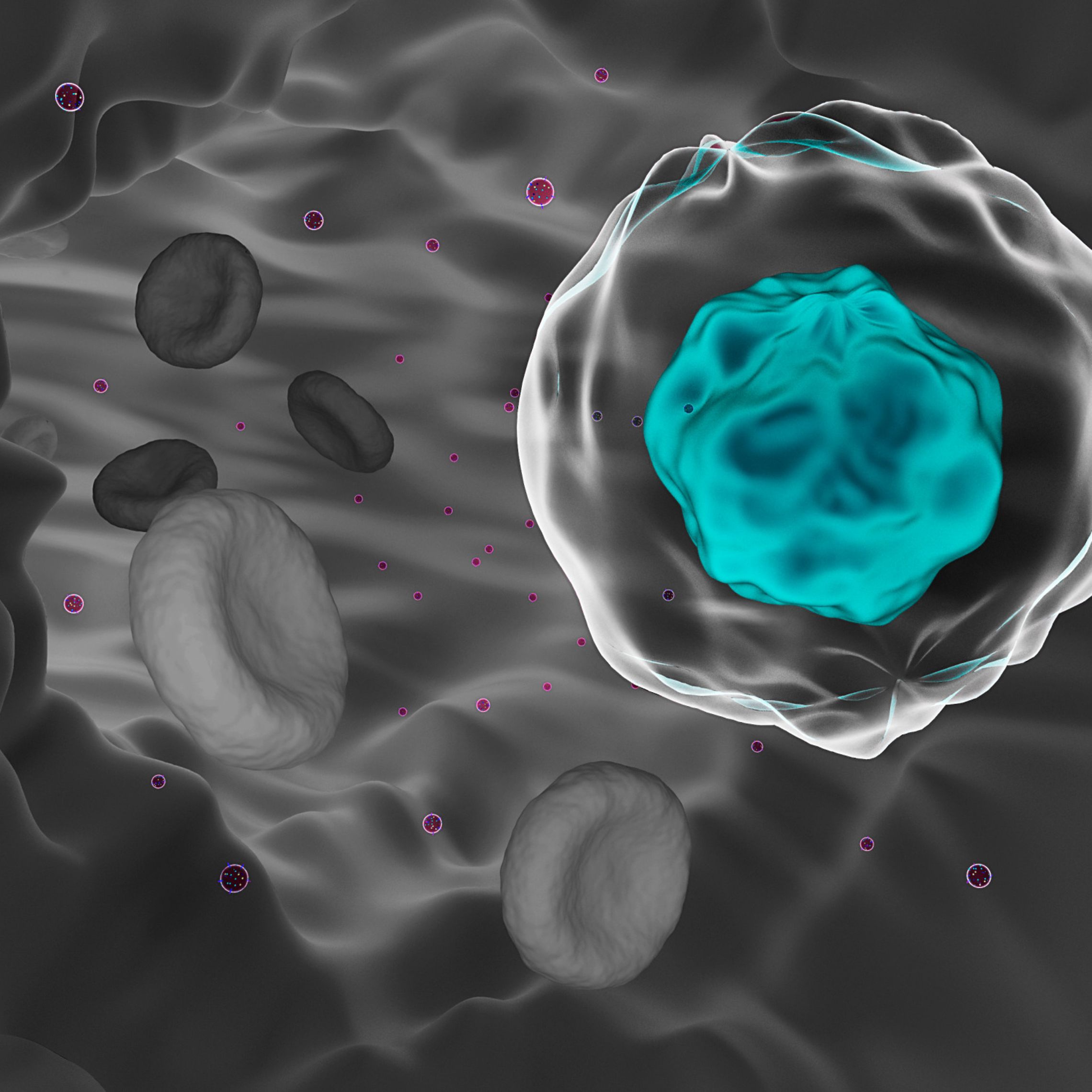 The Hunt for Circulating Tumor Cells: CTC Detection for Oncology Research