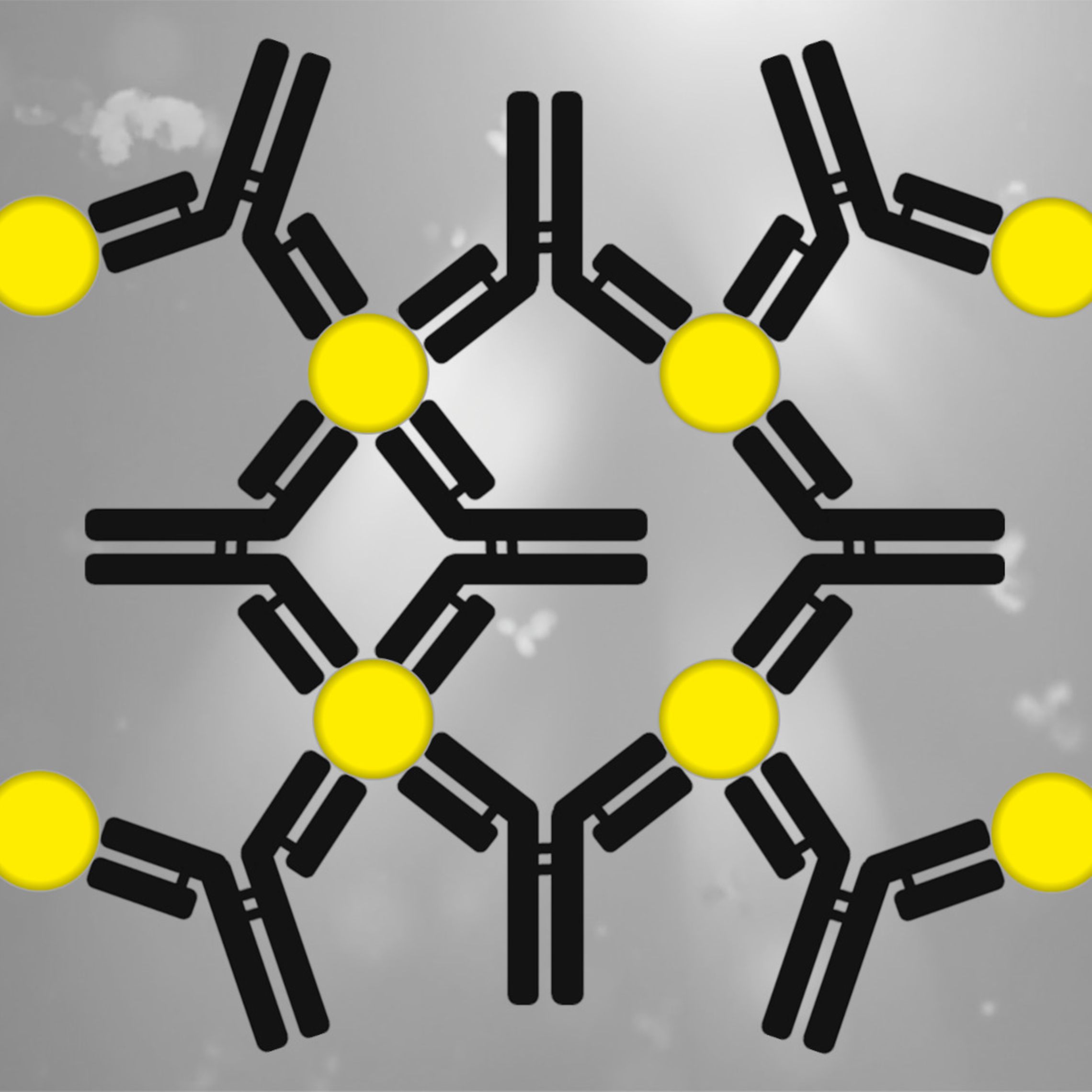 Getting Around Avidity When Characterizing Nanobody-Based Products