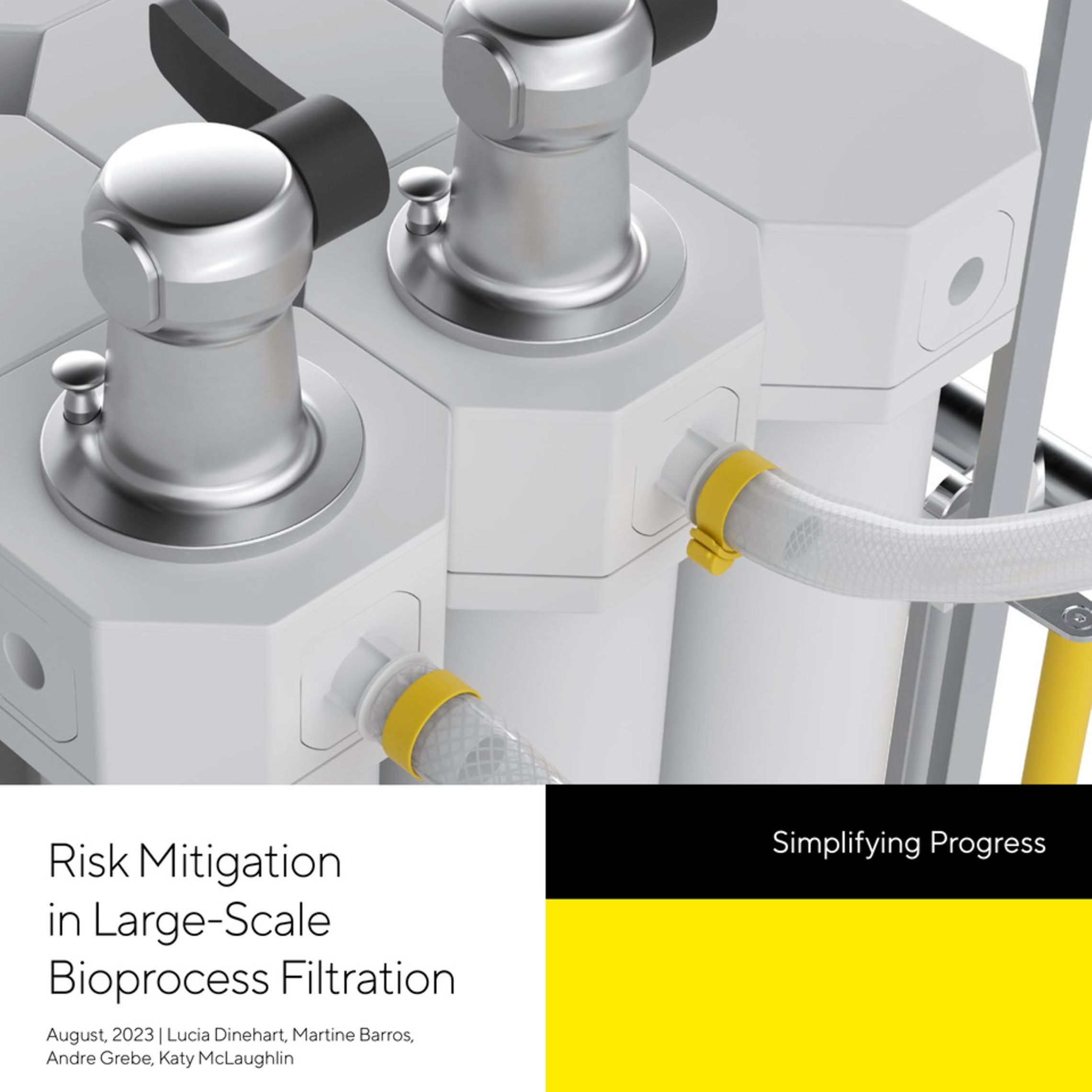 Risk Mitigation in Large-Scale Bioprocess Filtration