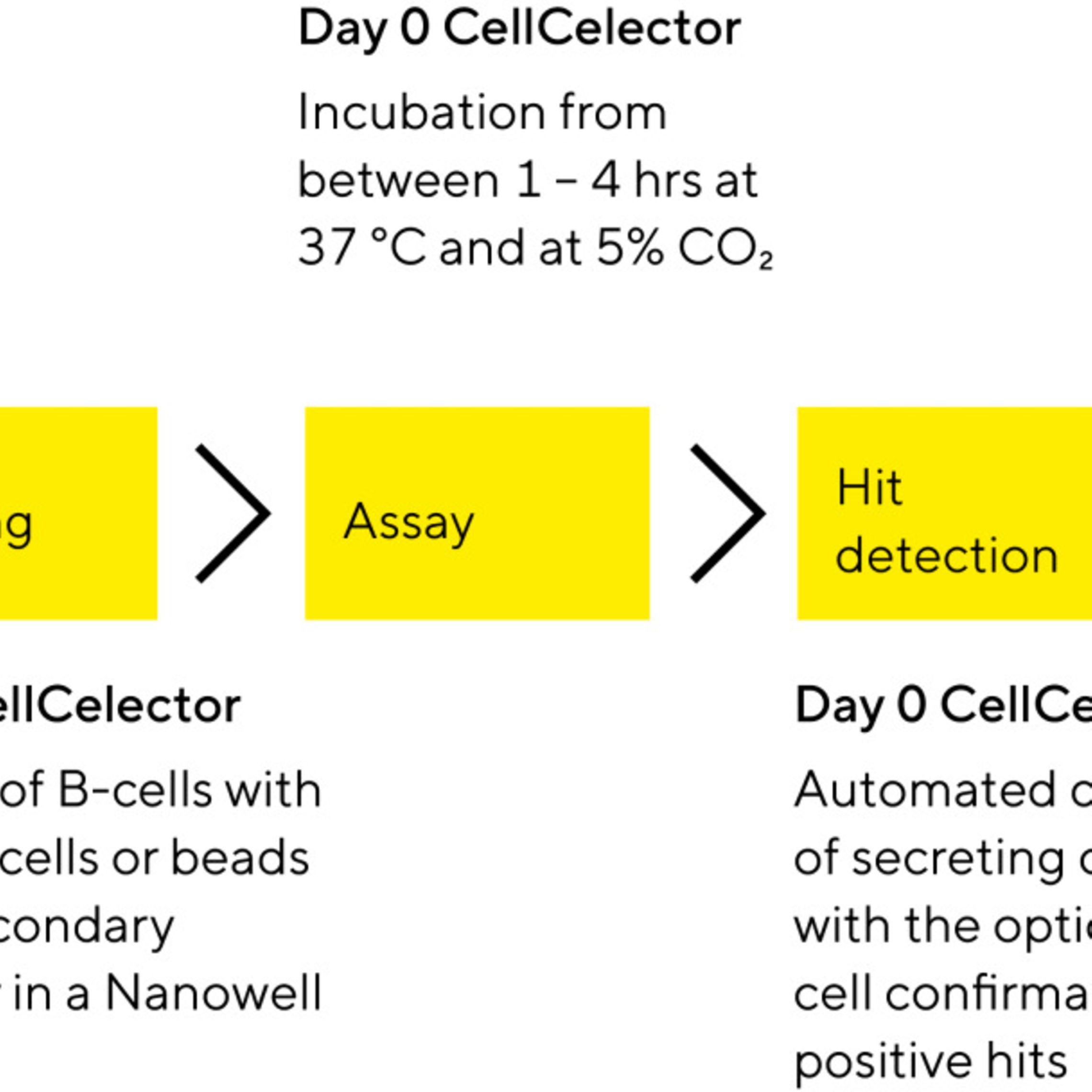 Single Plasma B-Cell Screening and Picking | Sartorius