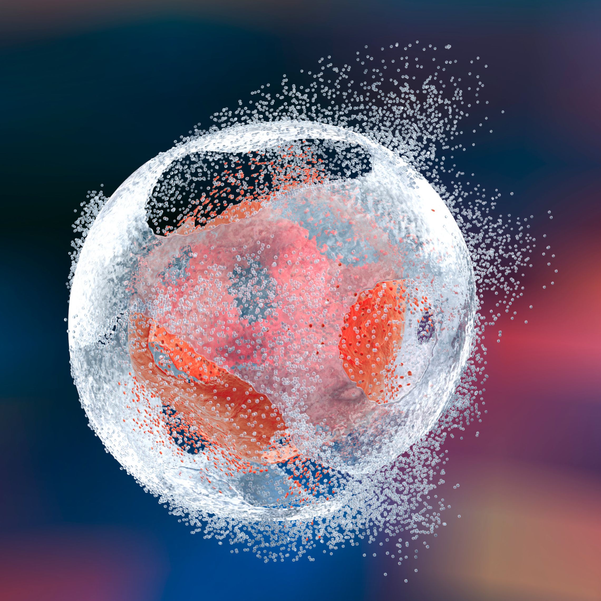 Exploiting the Mitochondrial Pathway of Apoptosis for Precision ...