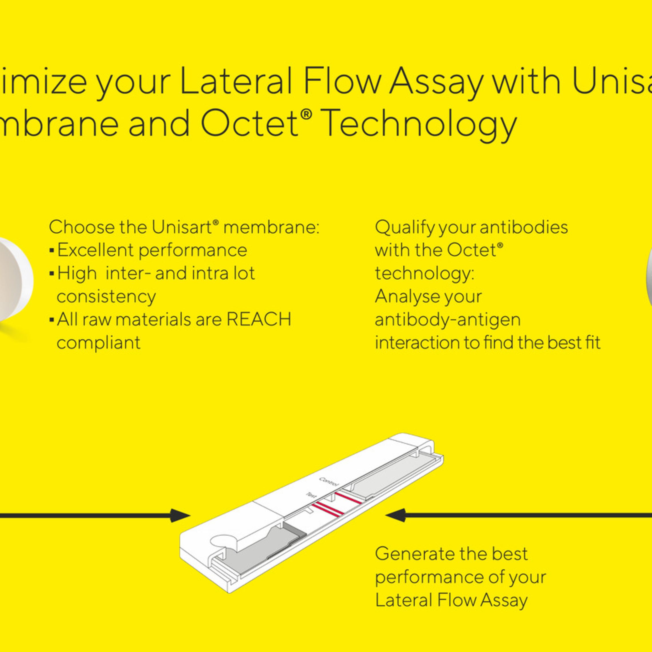 Webinar: A Simple, High-Throughput Way to Select the Best Antibody ...