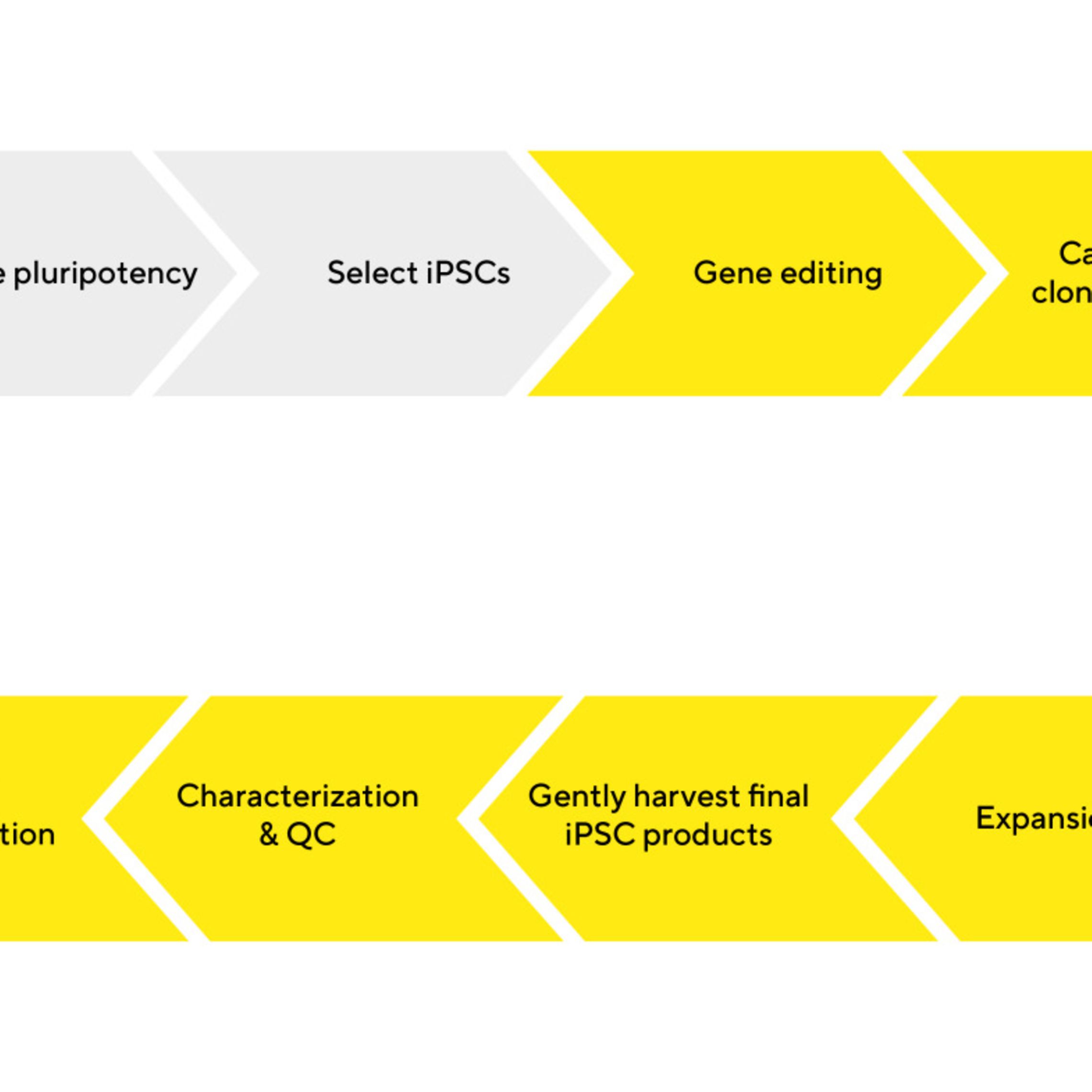 iPSC Therapy Research & Development | Sartorius