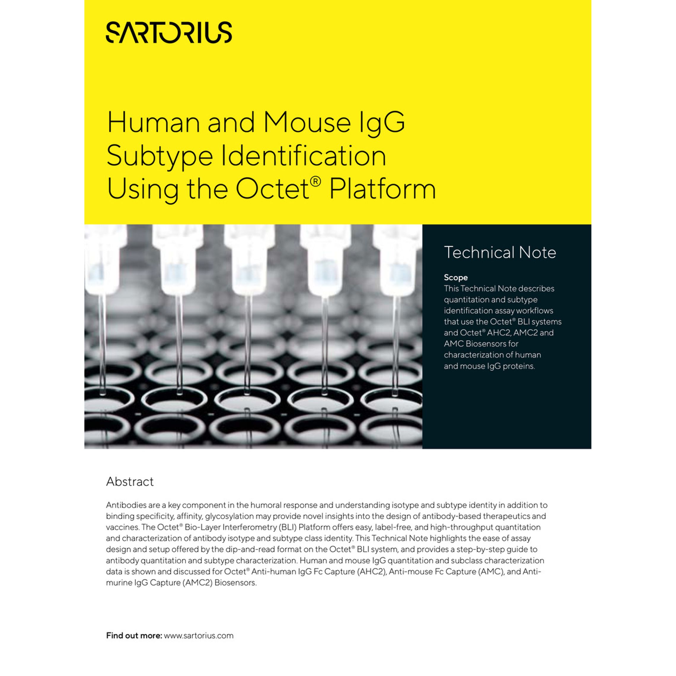 Octeteのサービス・サポート