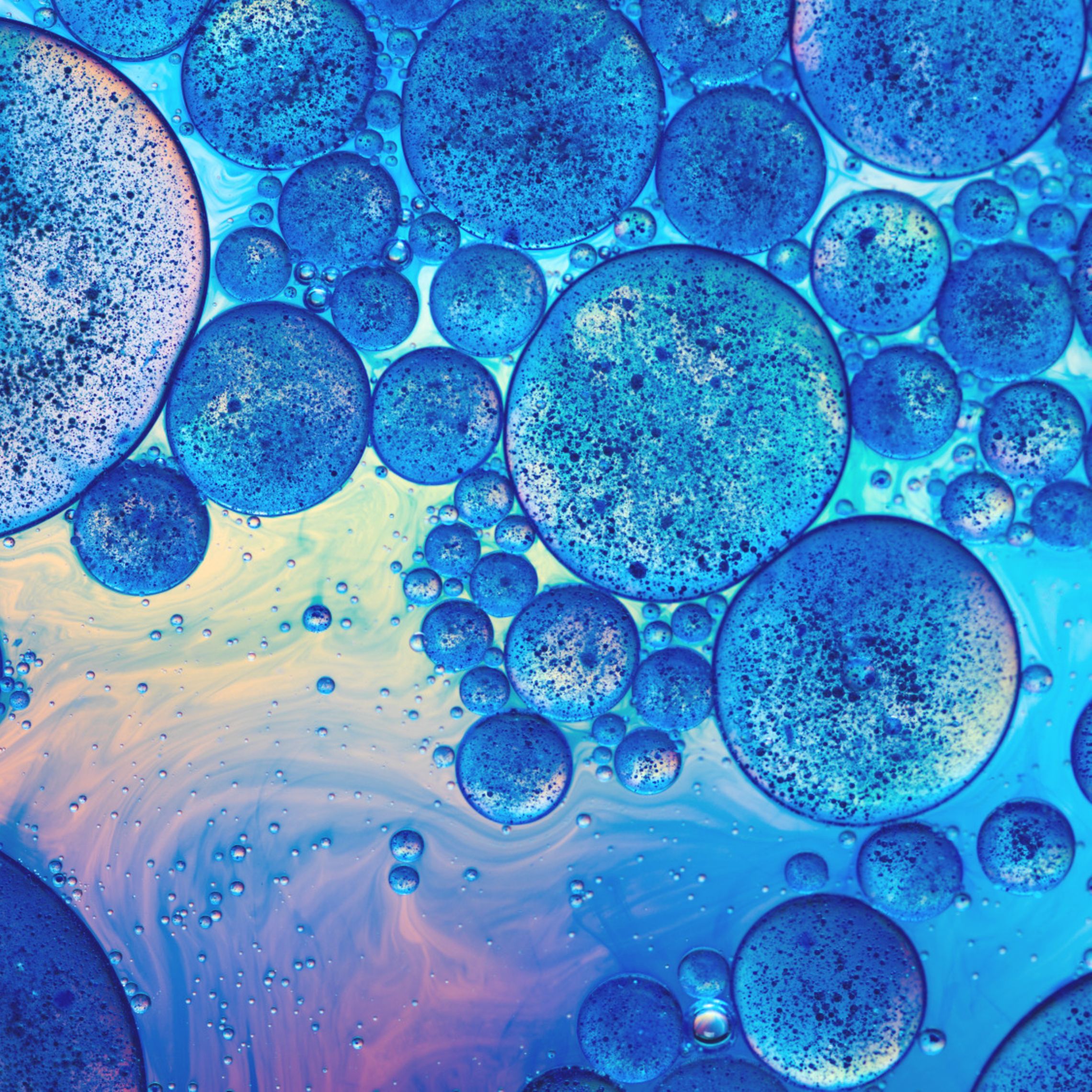 Revolutionizing Live-Cell Imaging with AI