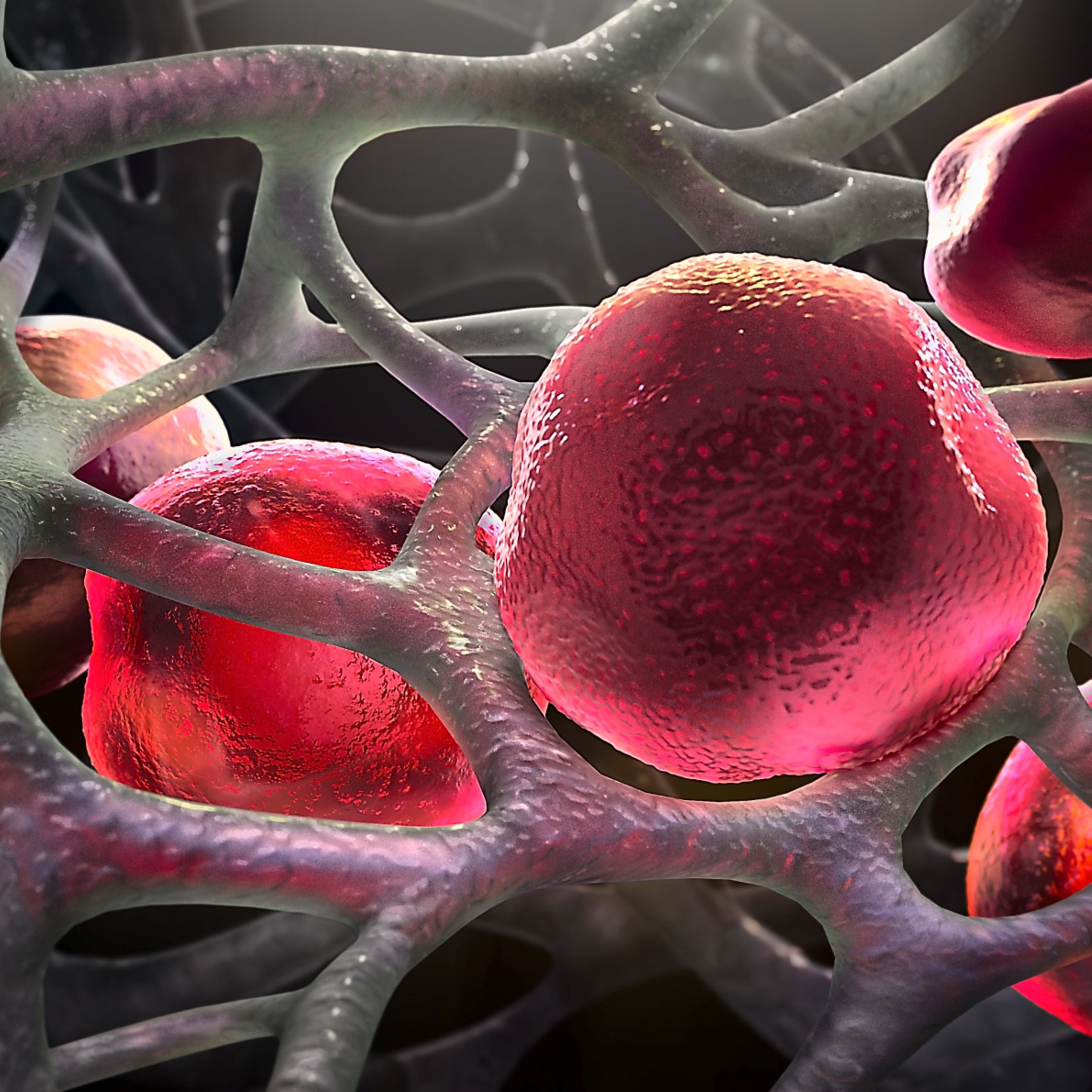 Predictive Insights for Advanced Cell Models in Drug Discovery | Sartorius