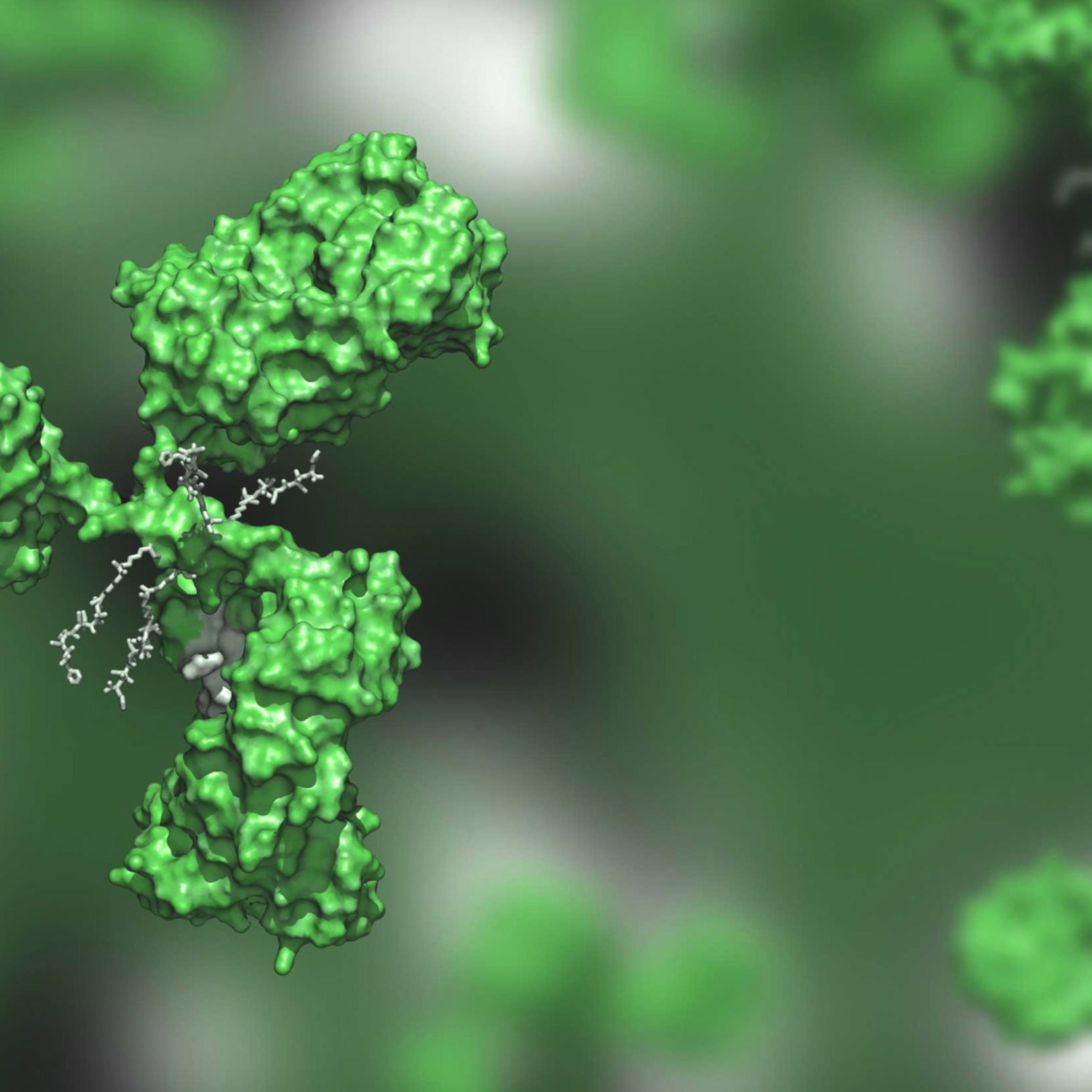 Targeted Tumor Destruction: High-Throughput Assessment of ADC ...