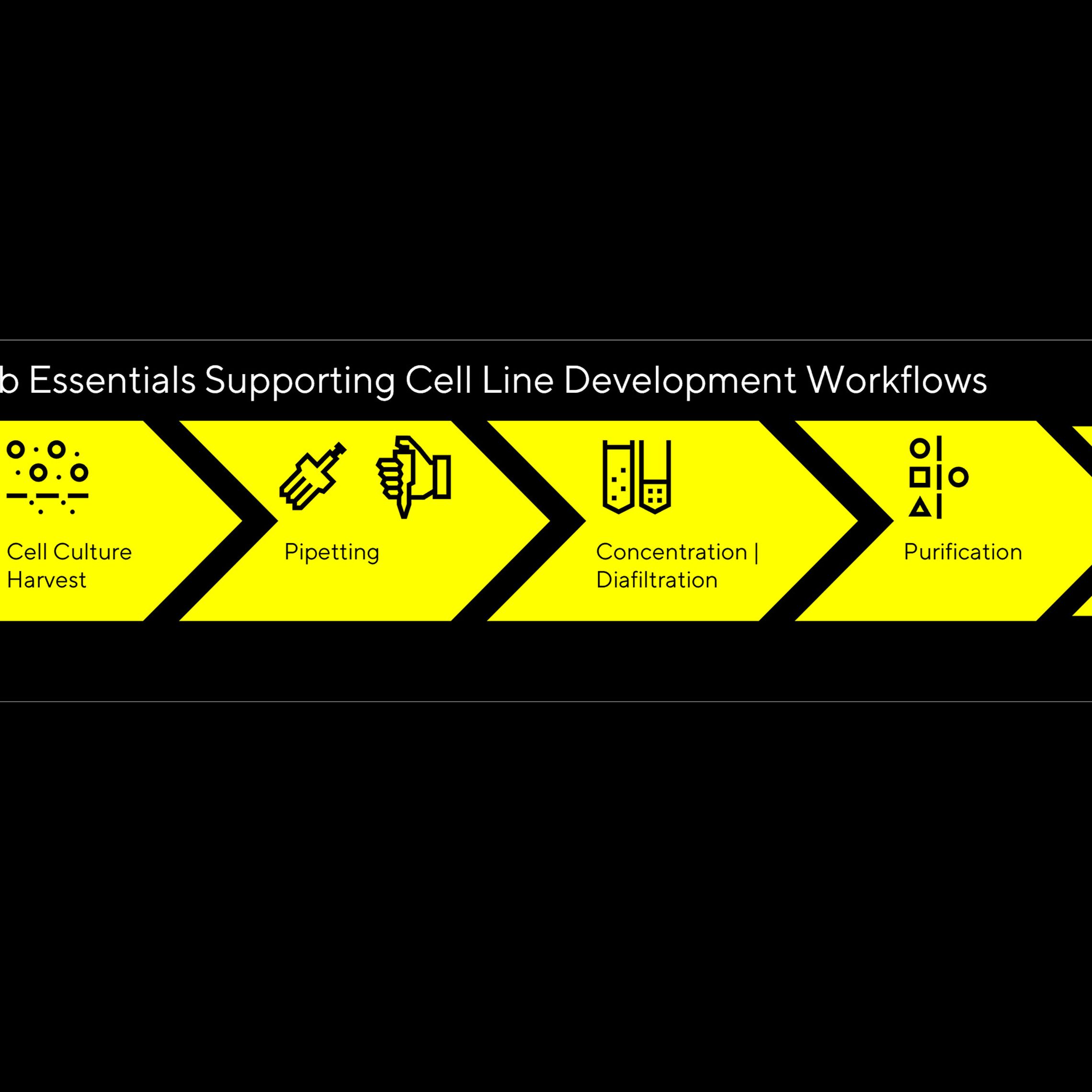 Lab Equipment Essentials for Successful Cell Line Development eBook ...