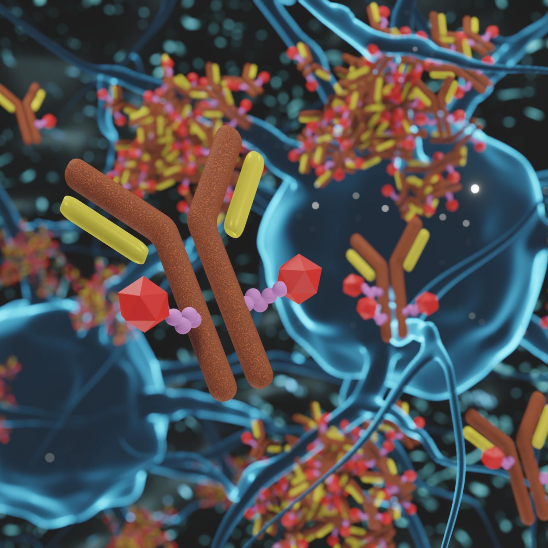 Evaluating Antibody Drug Conjugates (ADCs) In Vitro Using 3D Tumor ...