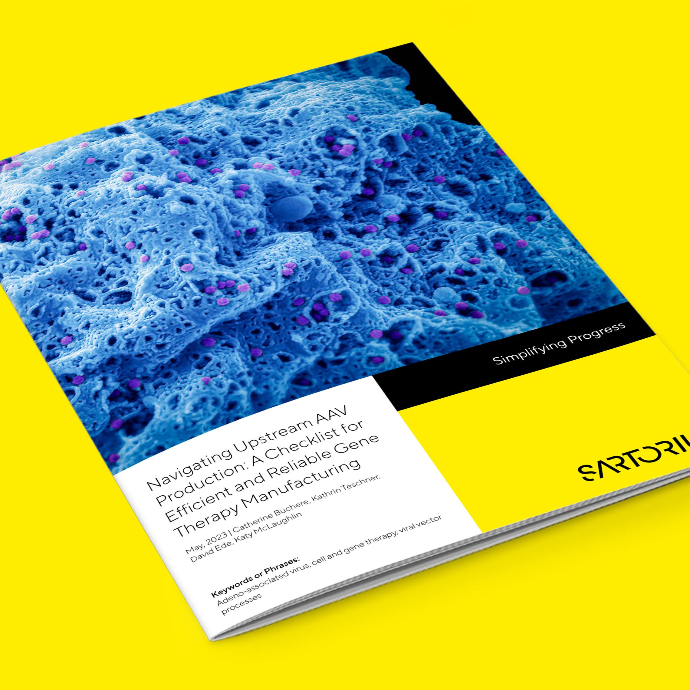 Navigating Upstream AAV Production for Gene Therapy Manufacturing