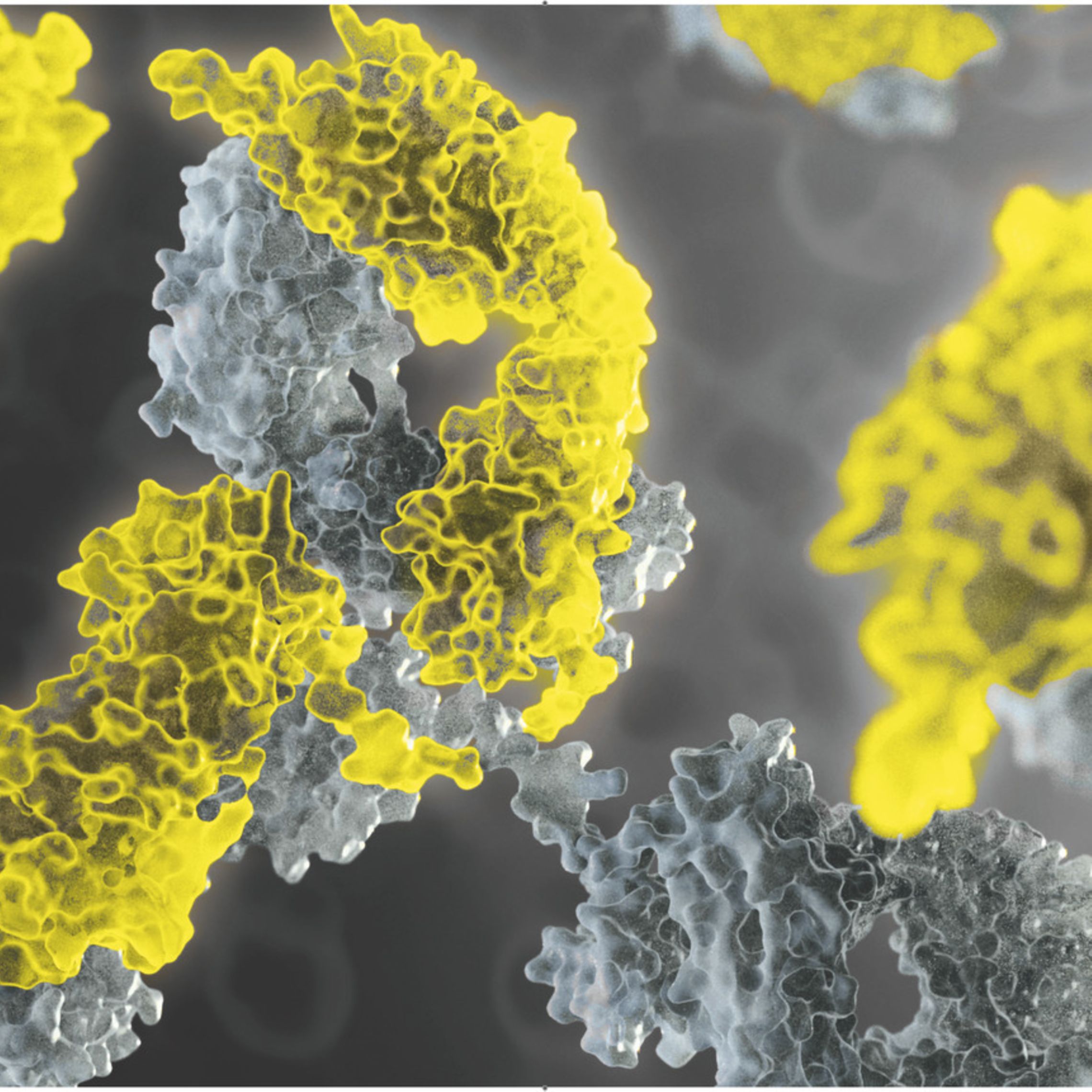 Single Cell and Colony Picking | Sartorius