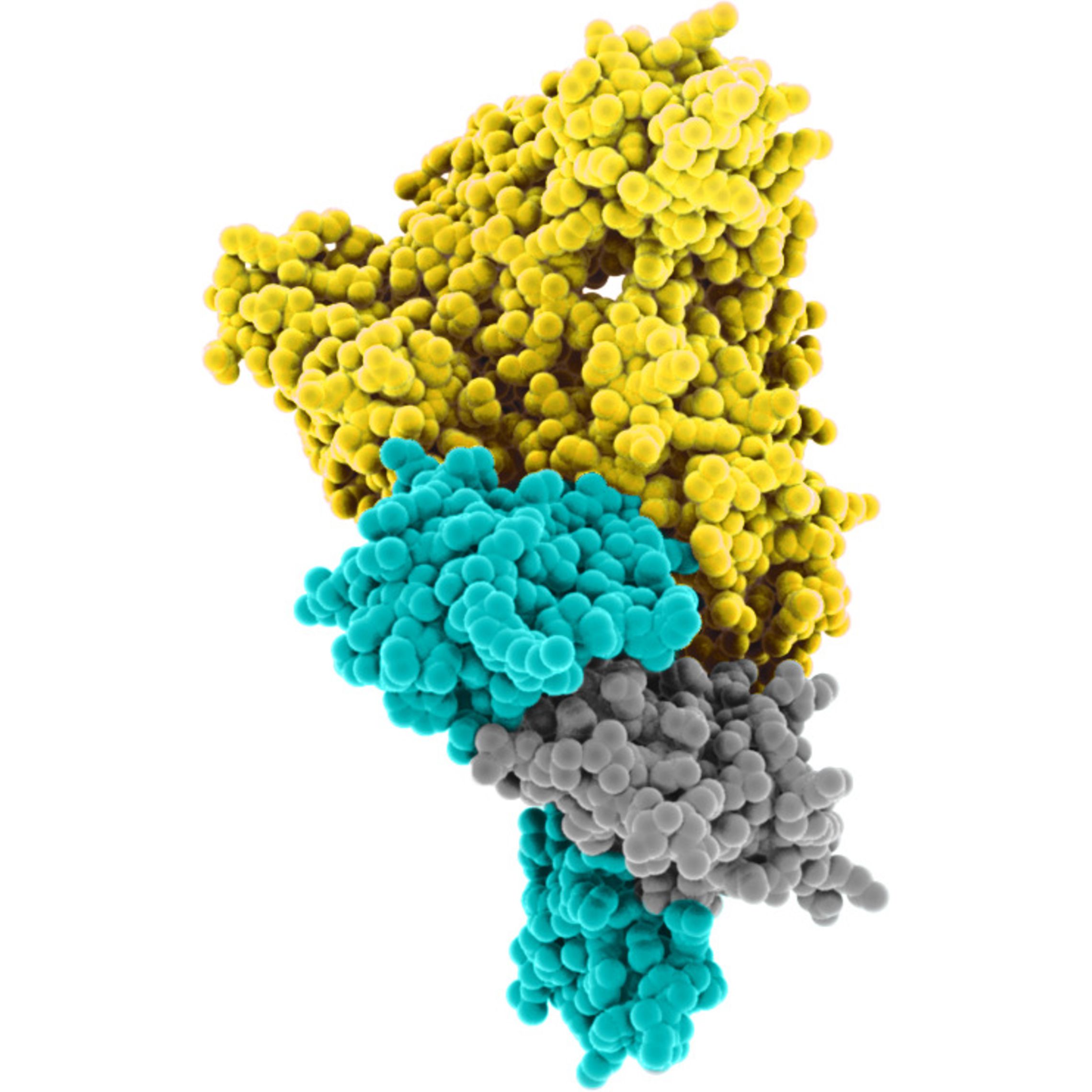 Veltis® Technology | Sartorius