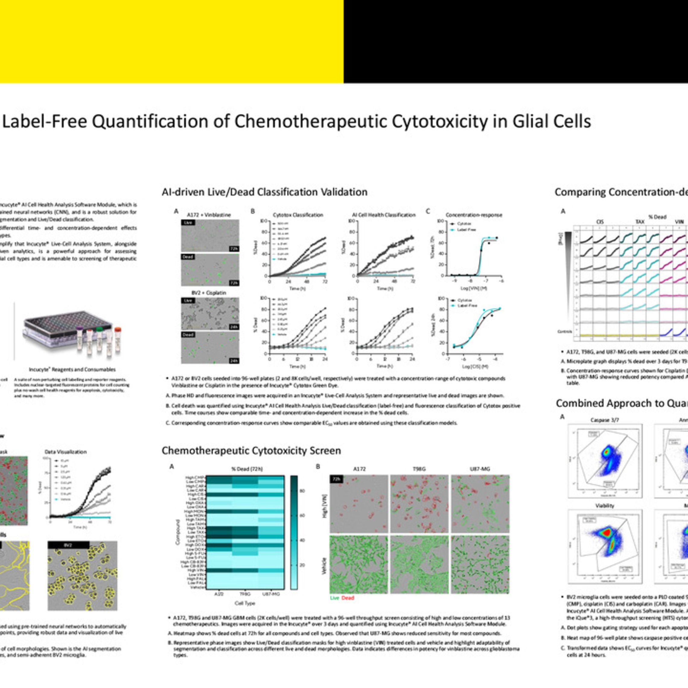 AI-Driven Image Analysis for Label-Free Quantification of Chemotherapeutic Cytotoxicity in Glial ...
