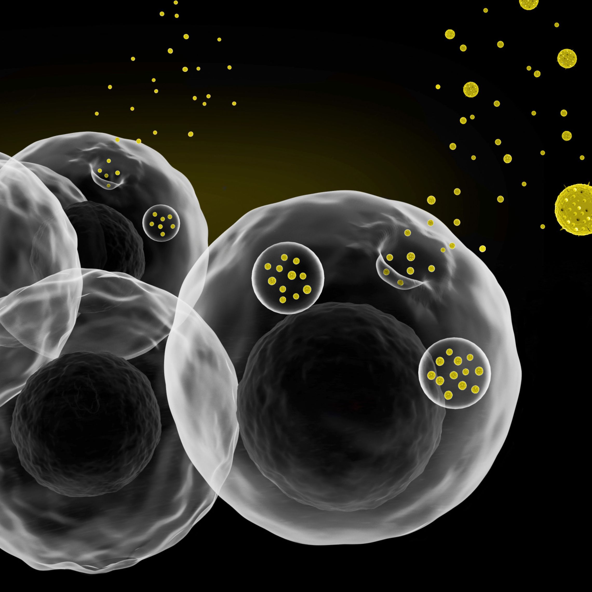 Harnessing Exosomes for Biomedical Applications Application Note ...