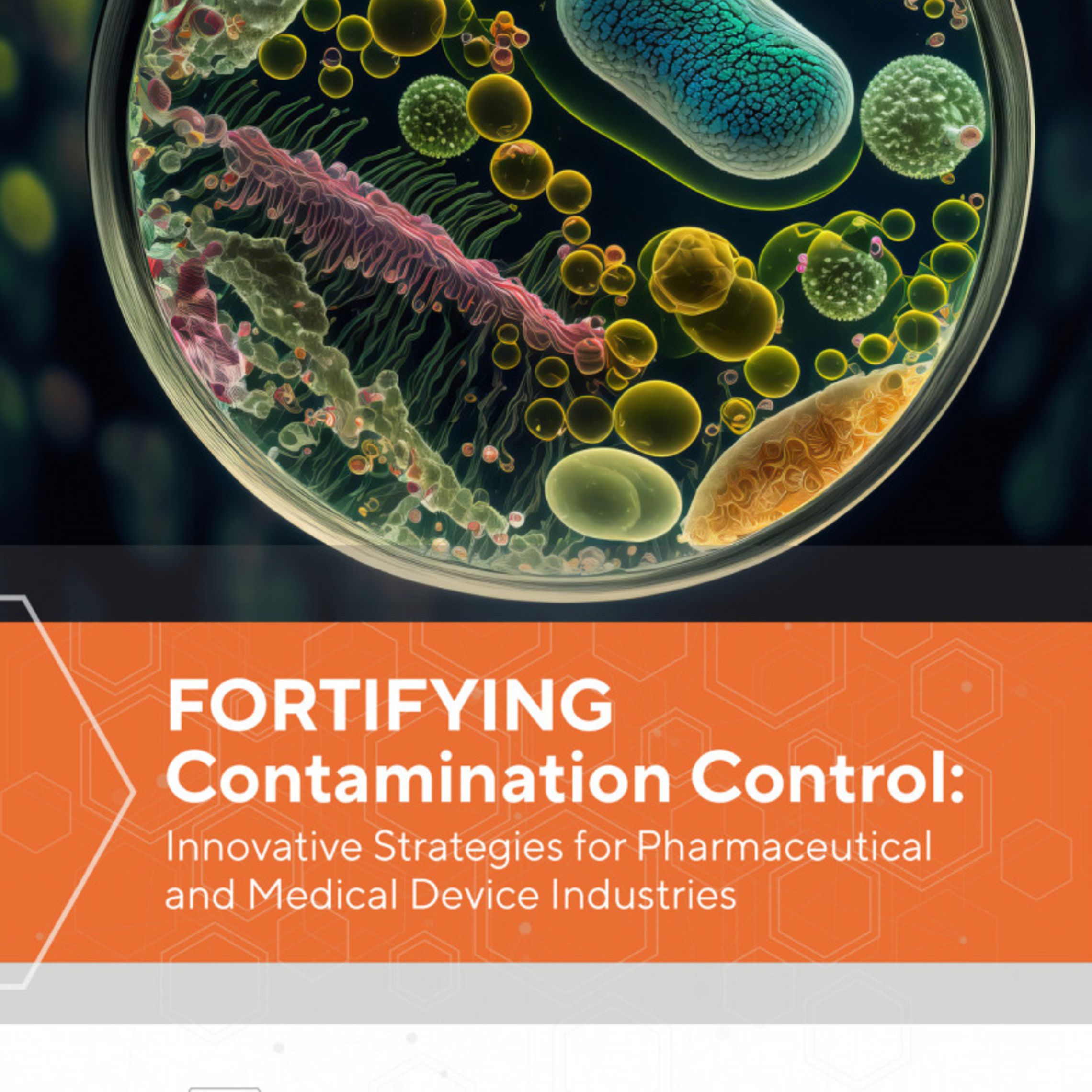 Fortifying Contamination Control: Innovative Strategies for ...