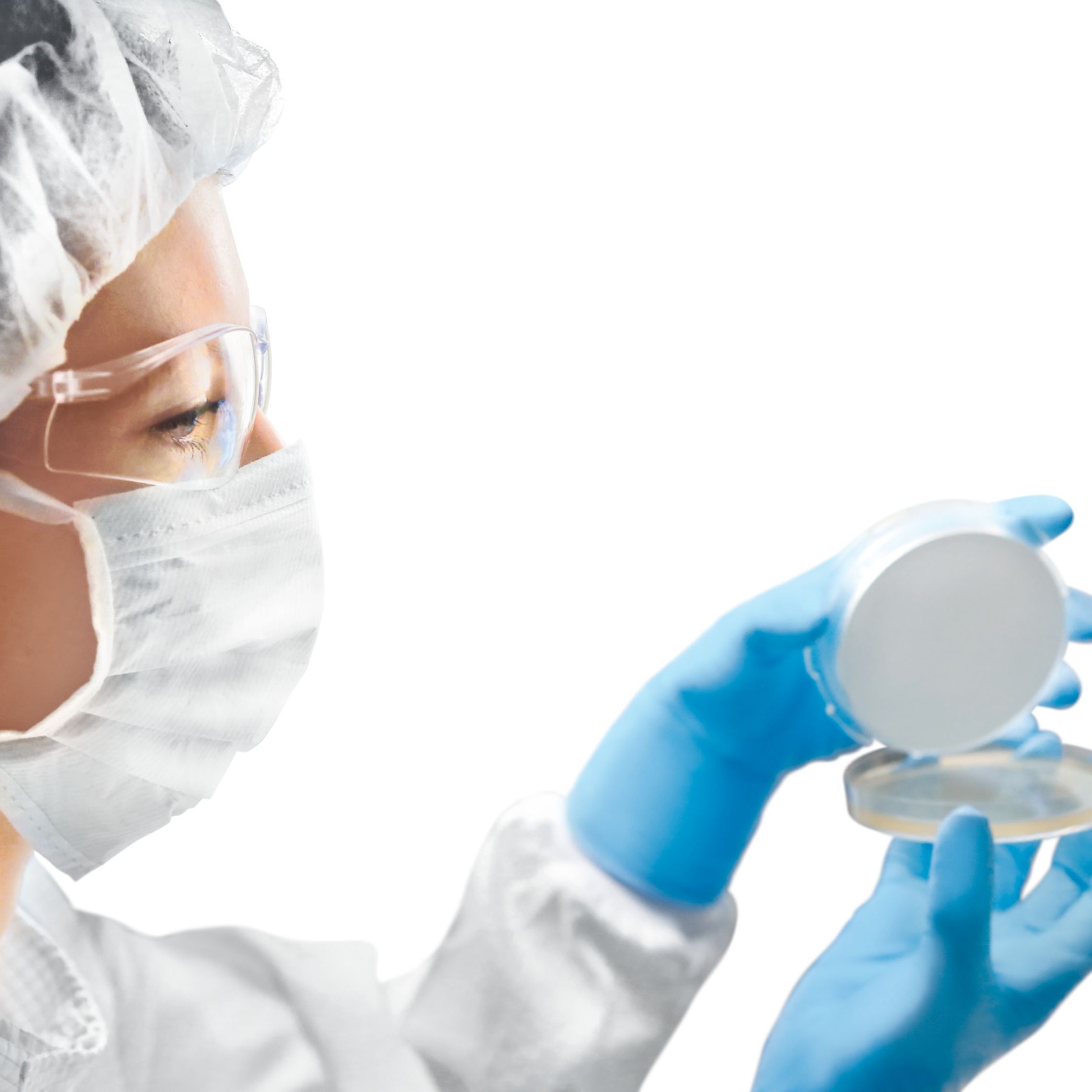 Microbiological Quality Control 101 | Sartorius