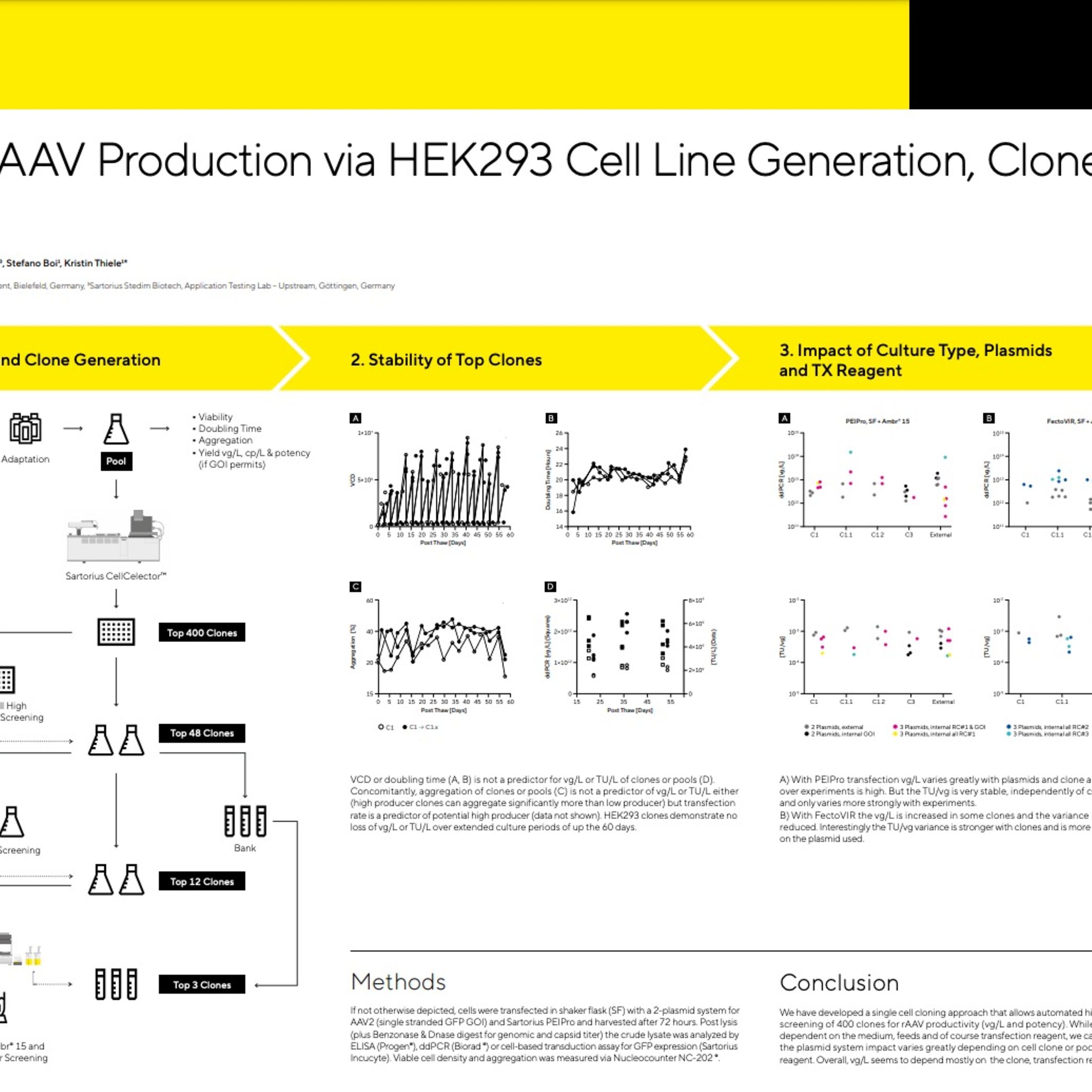 Optimization of Transient rAAV Production via HEK293 Cell Line ...
