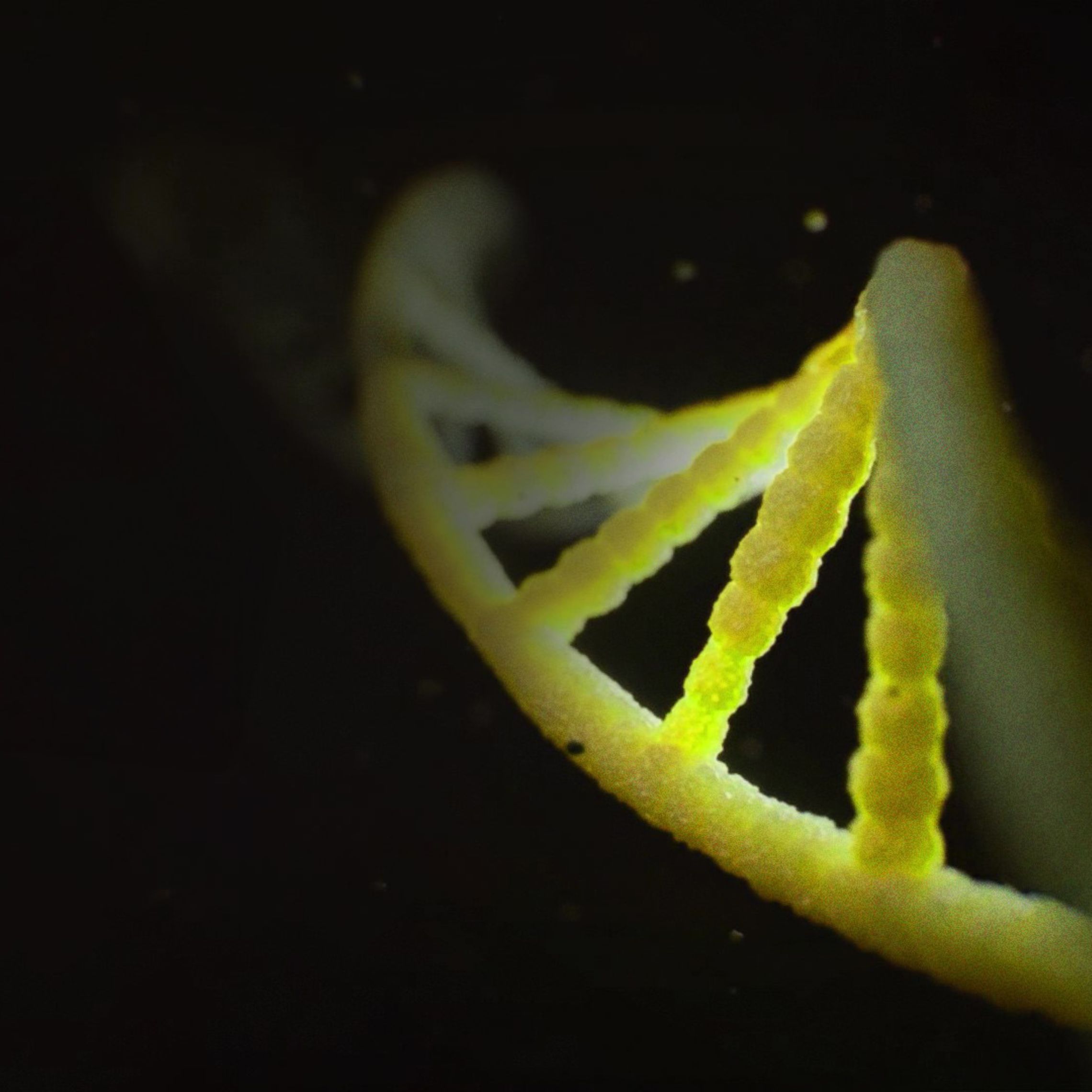 The Rise of Biologics: From Early Milestones to Major Breakthroughs