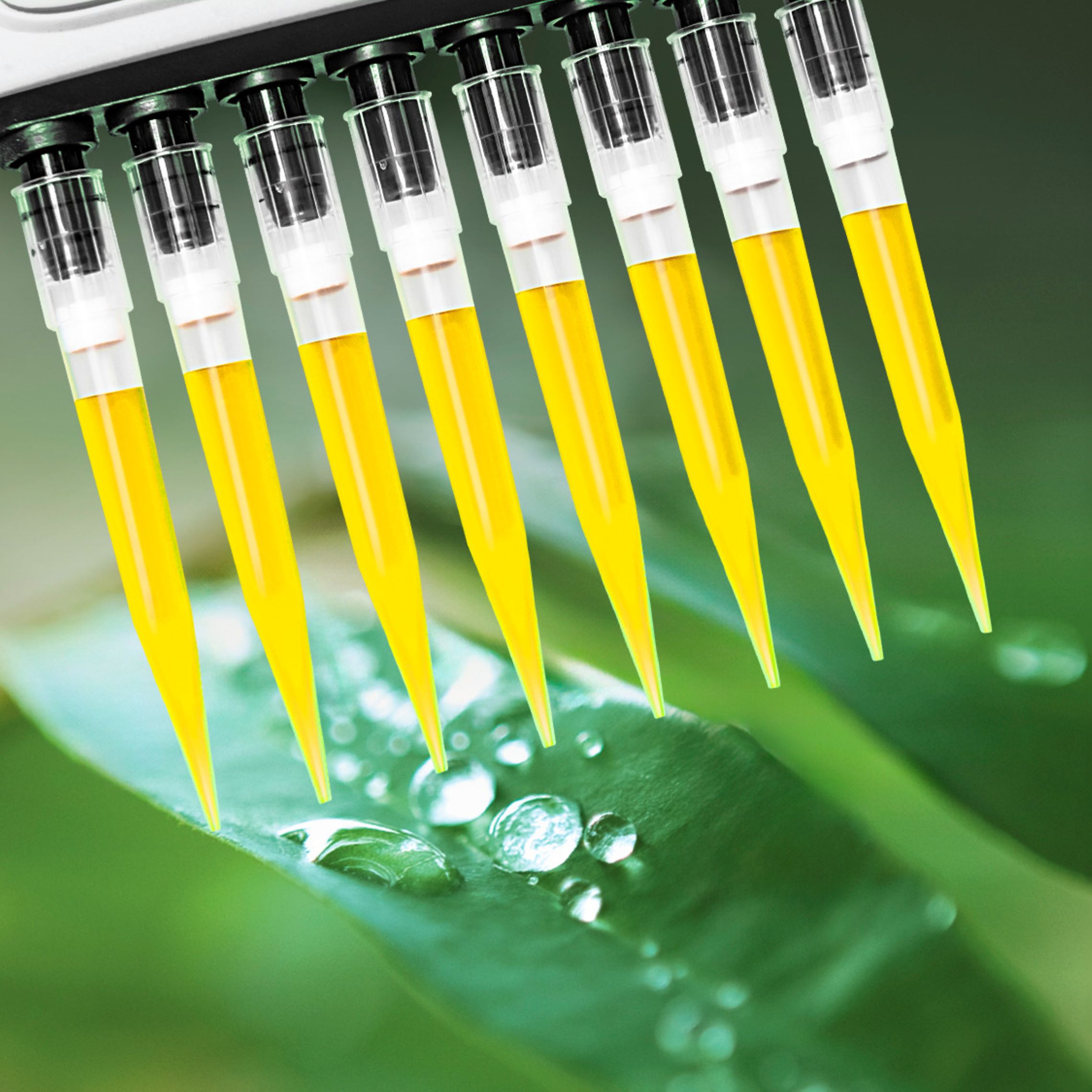 Sustainable Lab Practices: Your Ultimate Guide to Improve ...