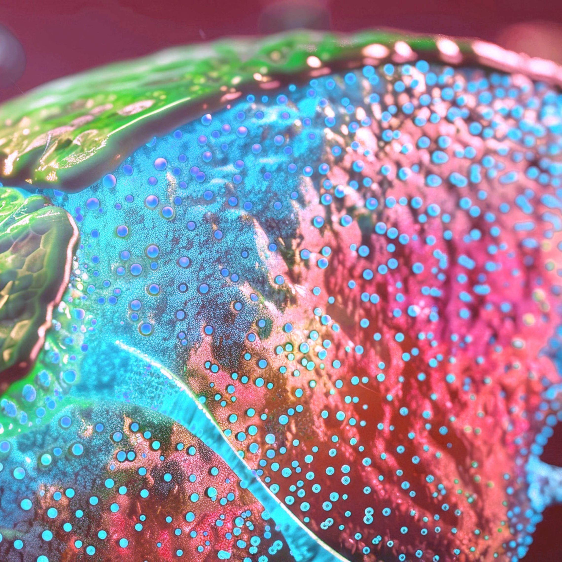 A Novel Multi-Organ Tox Plate with Integrated Workflow for Drug-Induced ...