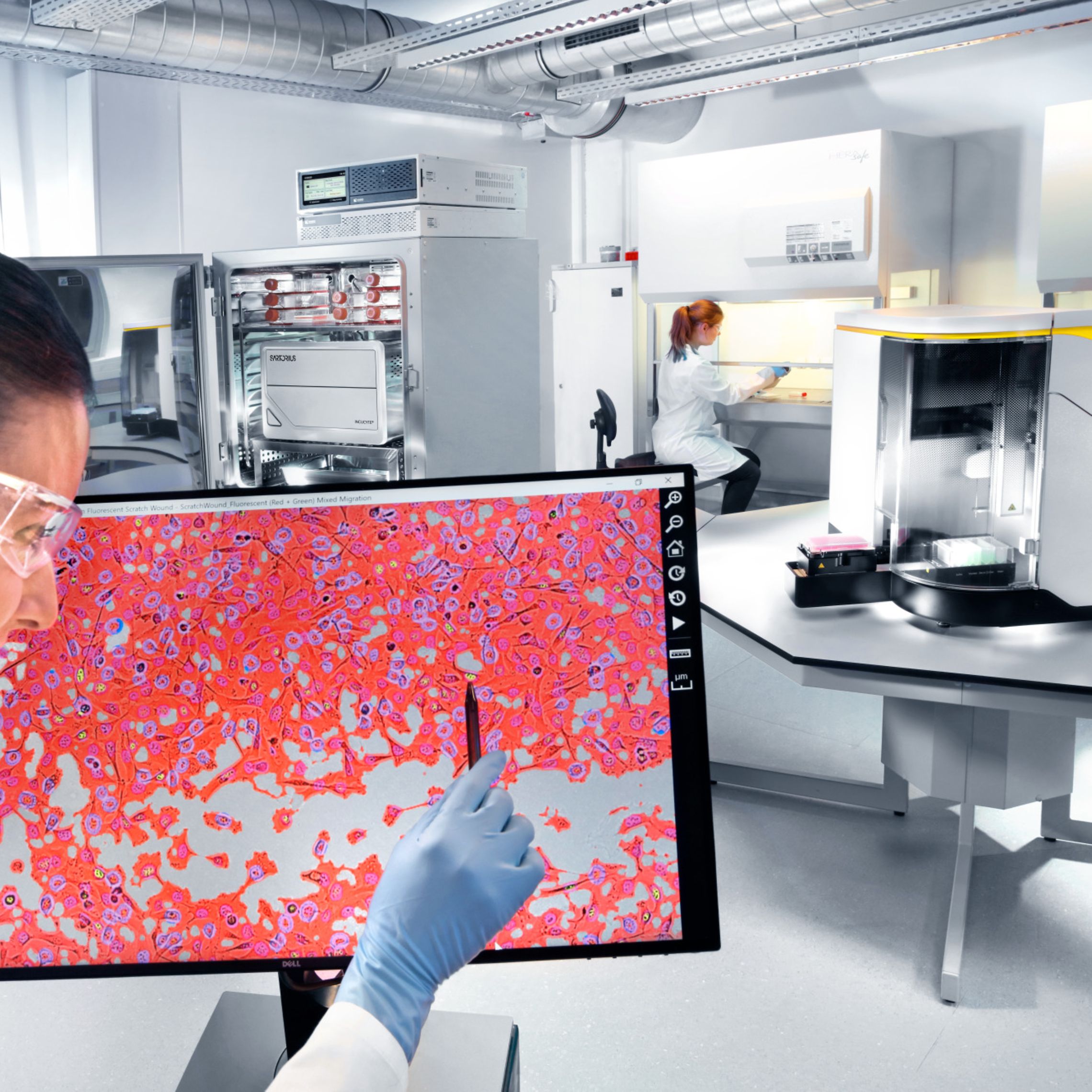 Incucyte® Workshop: Unlock New Skills in Live-Cell Analysis | Sartorius