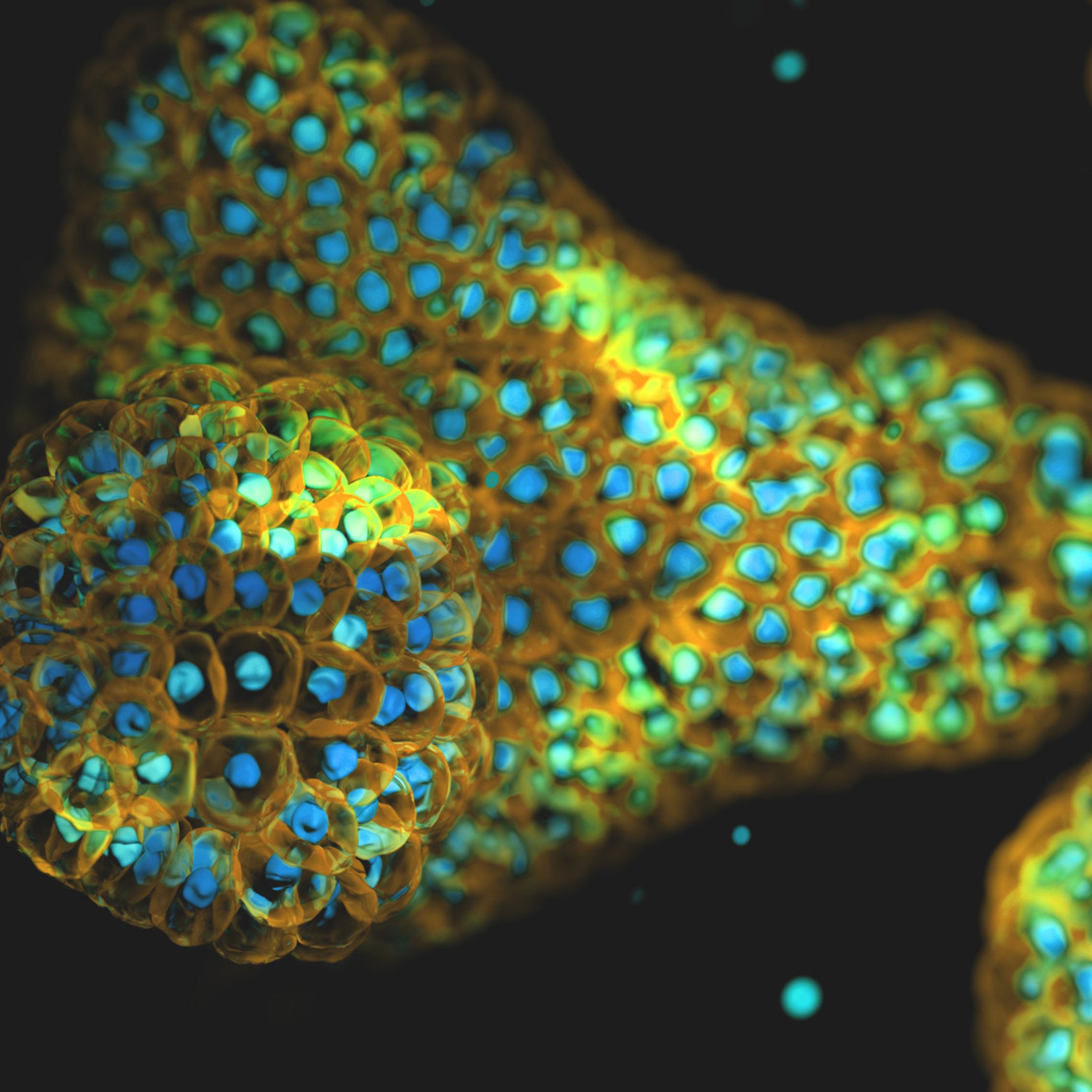 Poster: Automating Robust and Reproducible 3D Culture Model Systems ...