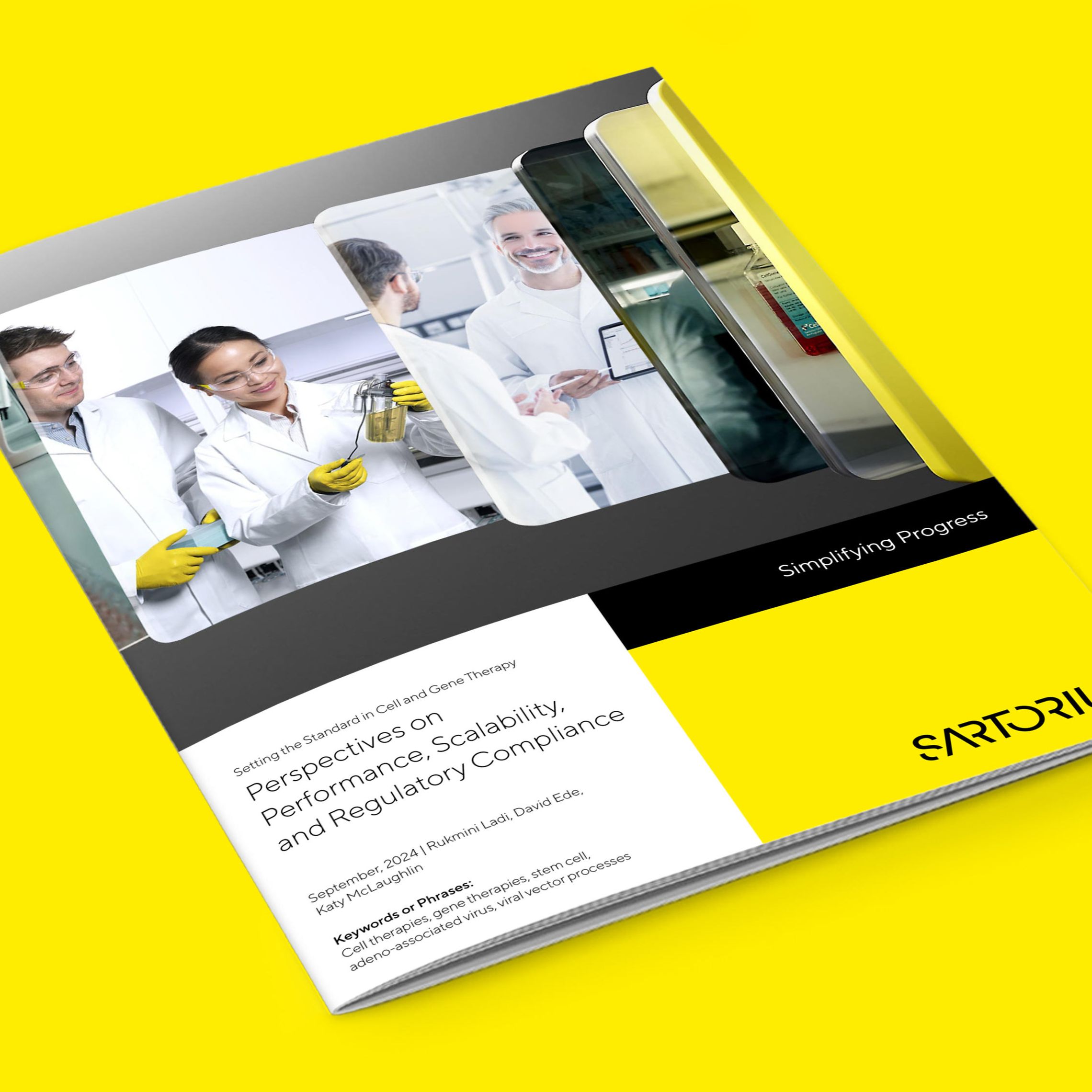 Setting the Standard in CGT: Perspectives on Performance, Scalability ...