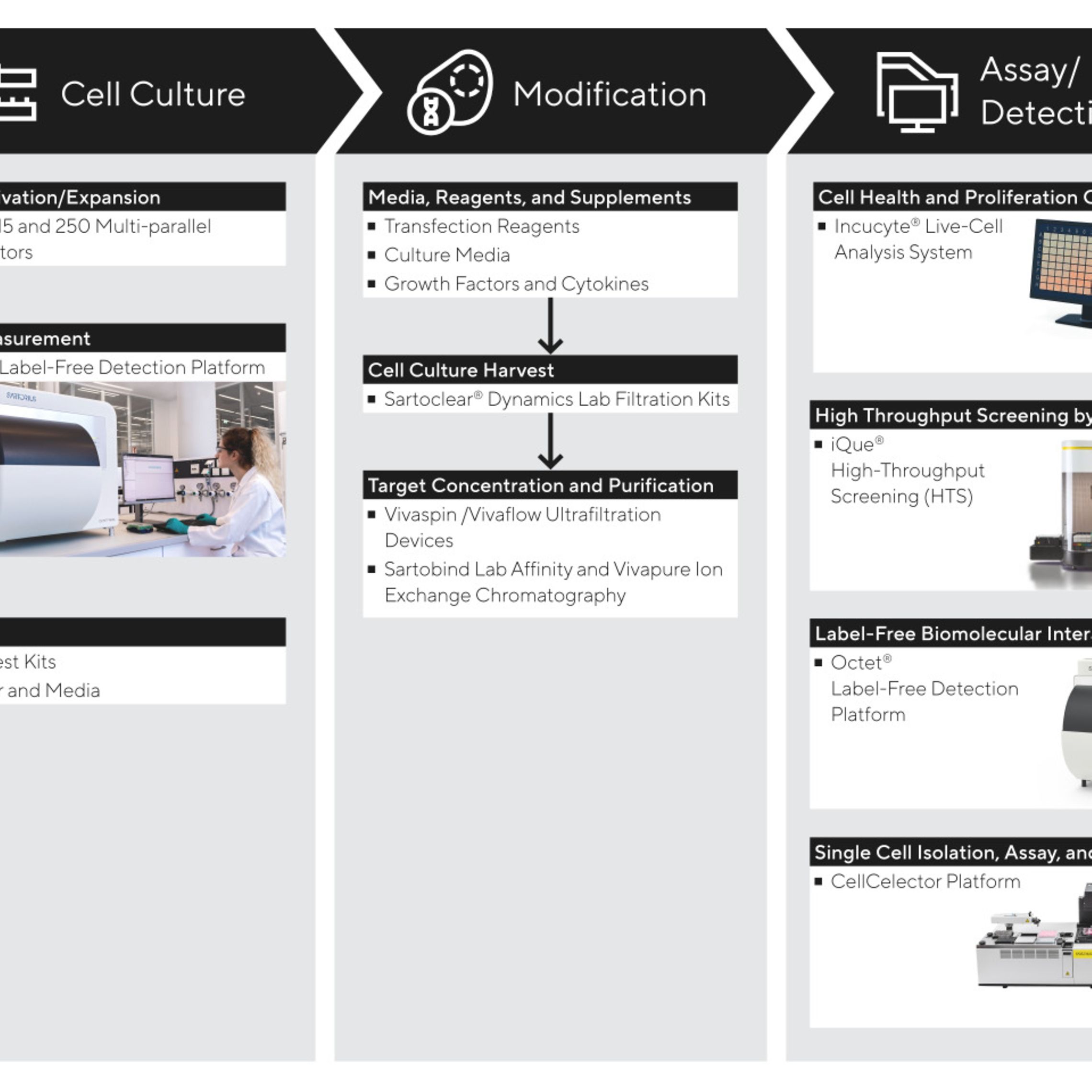 Cell culture workflow solutions: cell culture preparation, cell culture, modification, assay ...