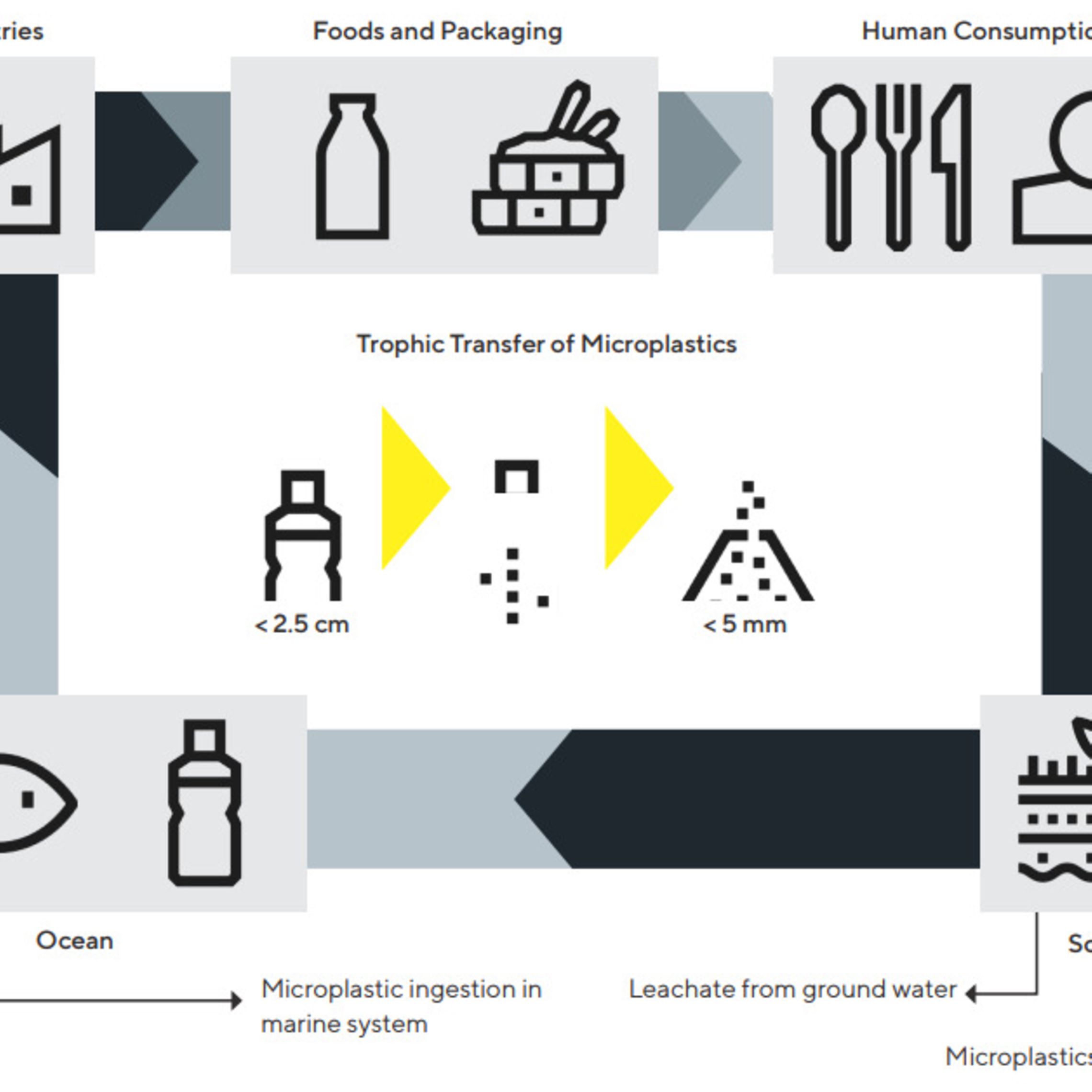 Eliminate Microplastic Particles from Your Water Sources Webinar ...