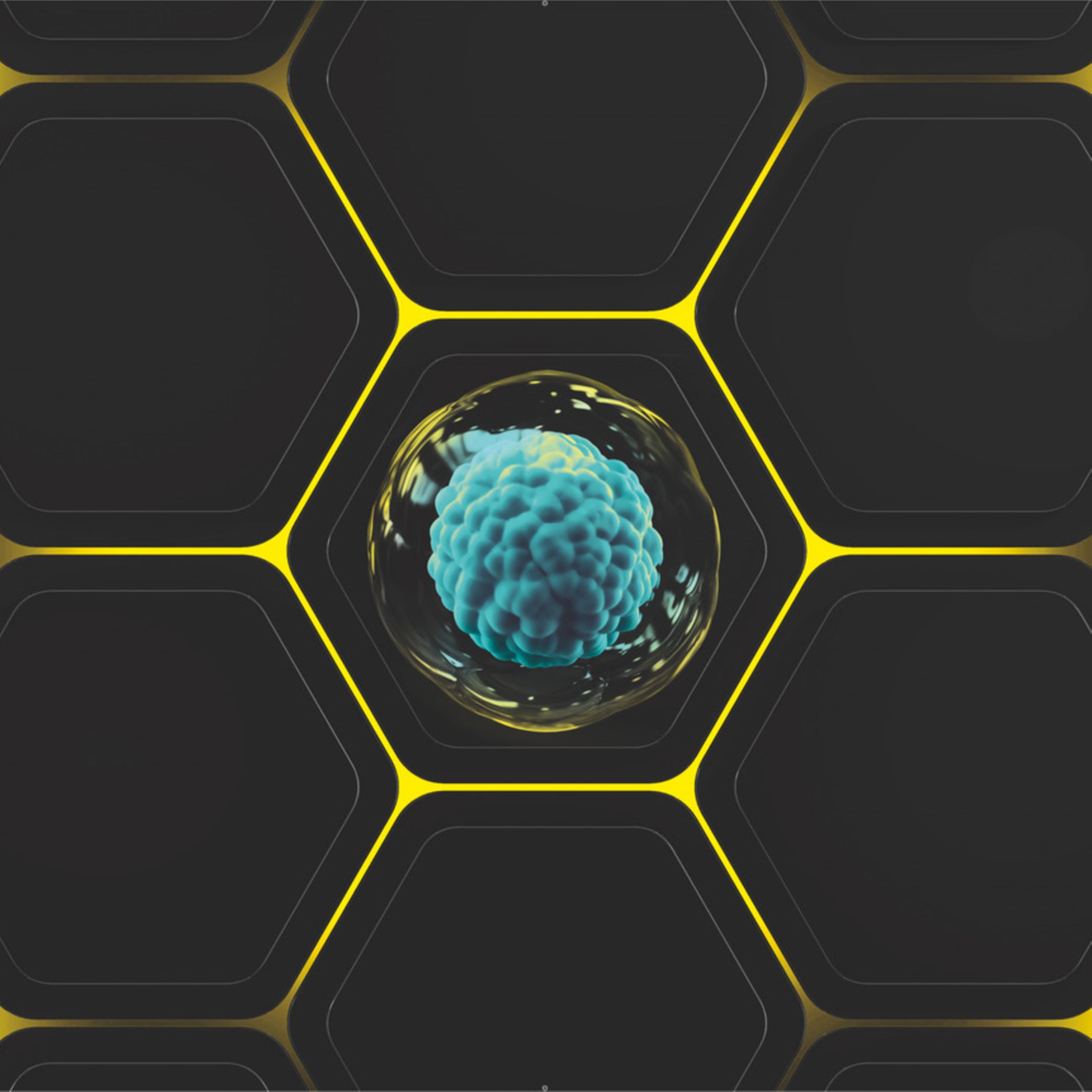 CellCelector Nanowell Arrays Technical Note | Sartorius