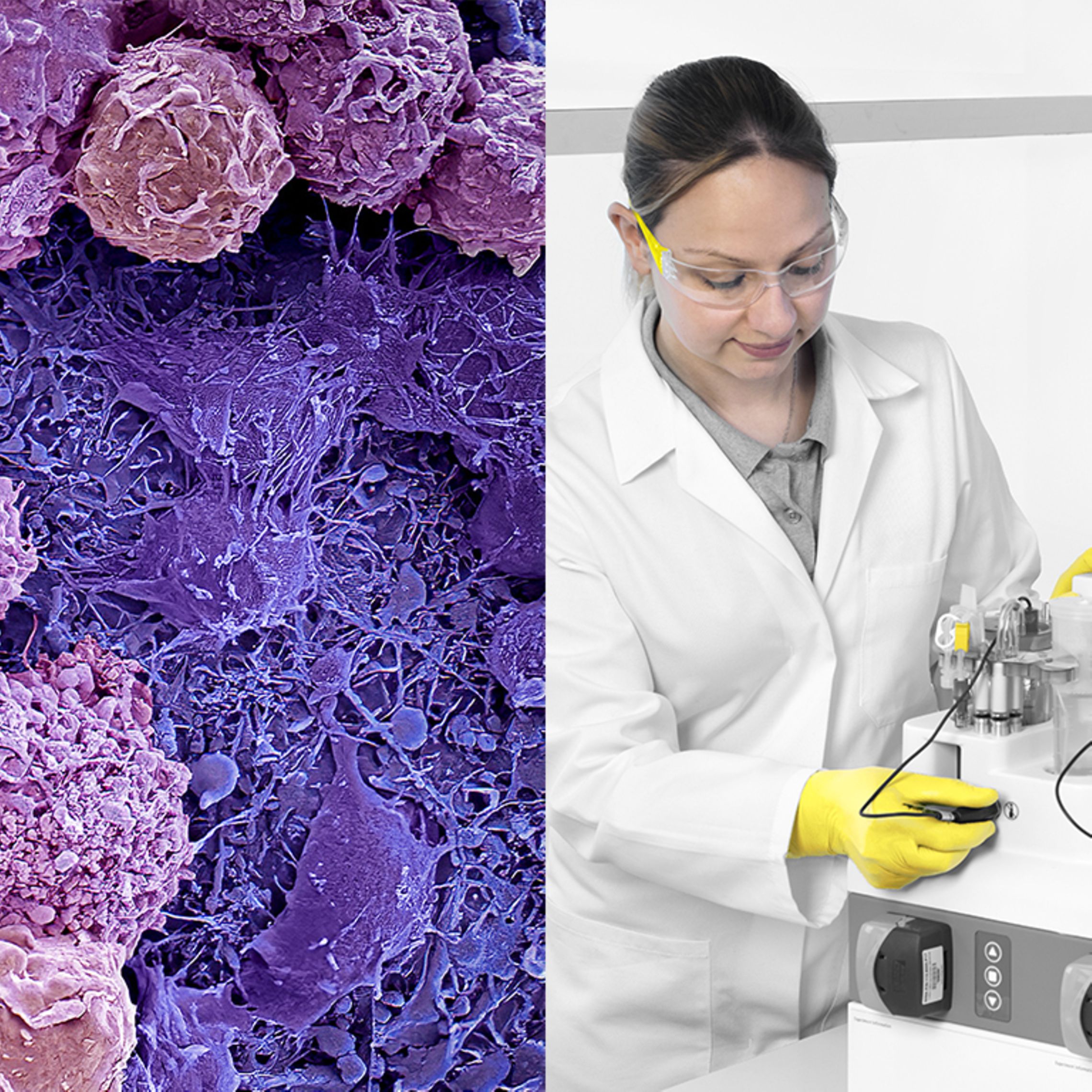 Webinar: Four Billion Cells in Four Days: A Scalable 3D Bioprinting ...