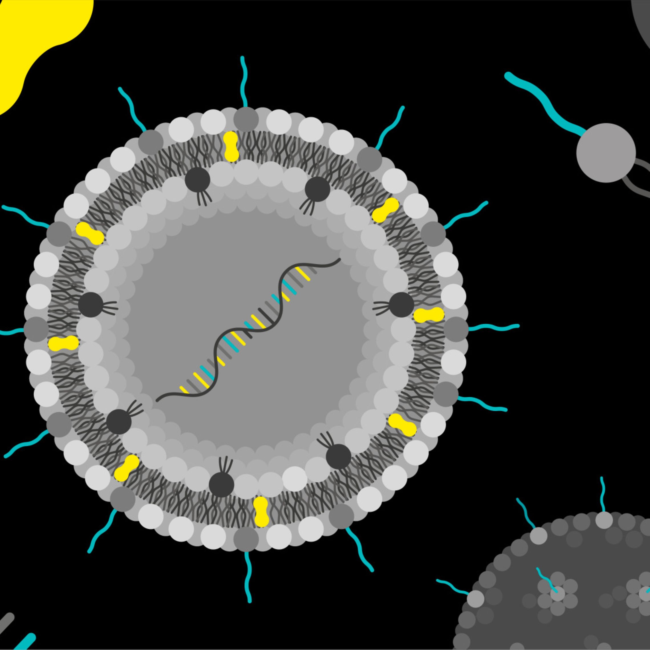 Advanced Strategies for Effective mRNA Transfection in T Cells | Sartorius