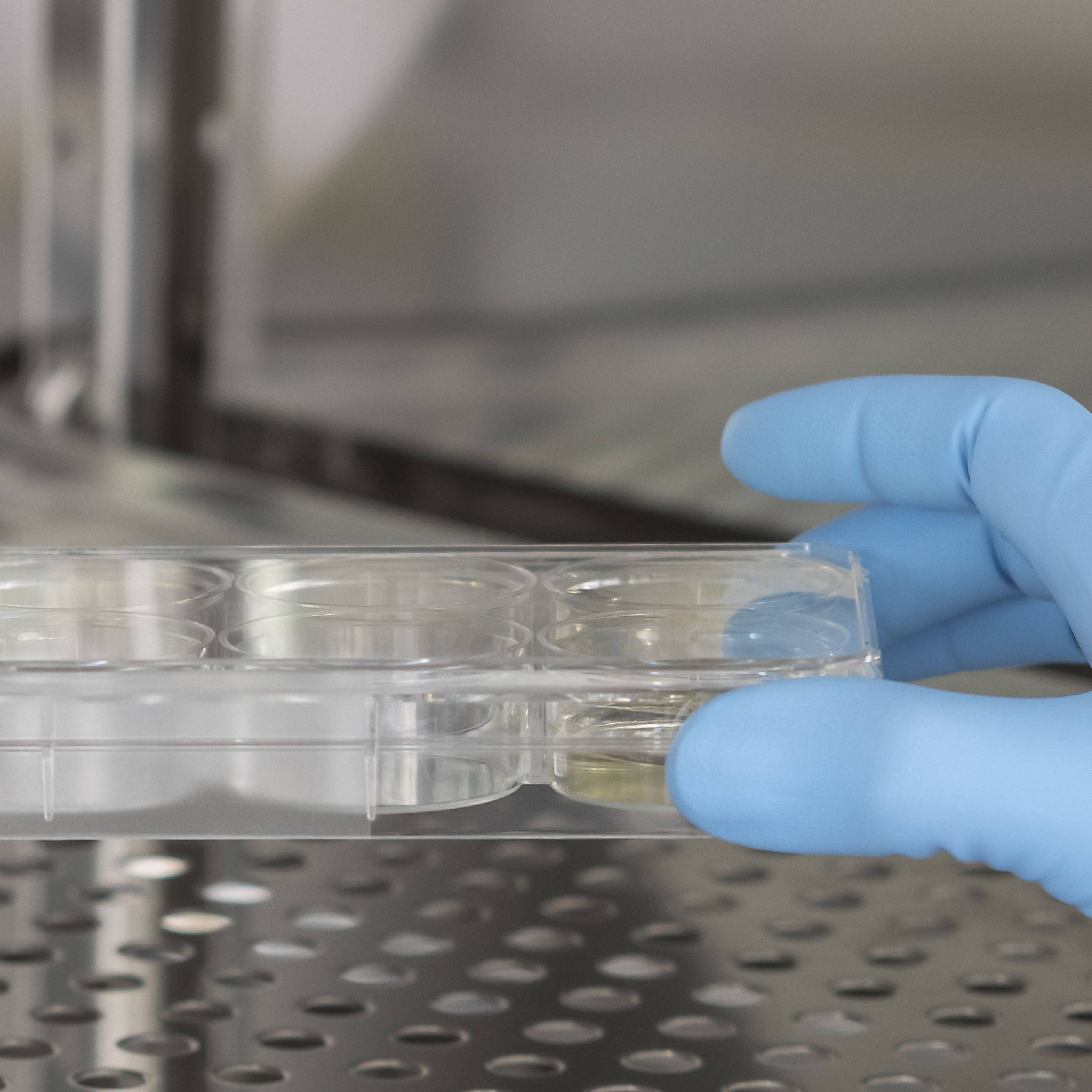De-Risking Cell Line Development