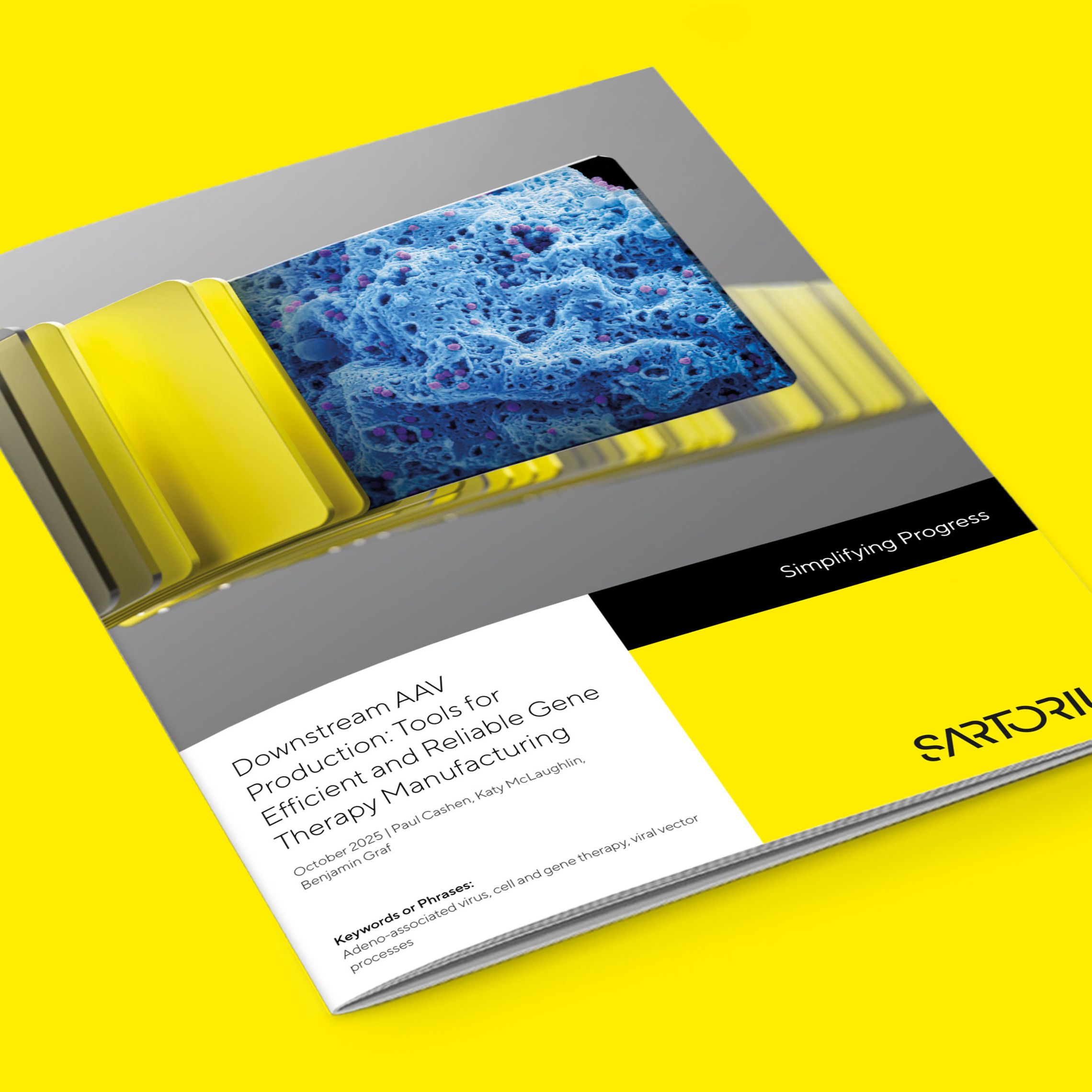 Downstream AAV Production: Tools for Efficient and Reliable Gene Therapy Manufacturing