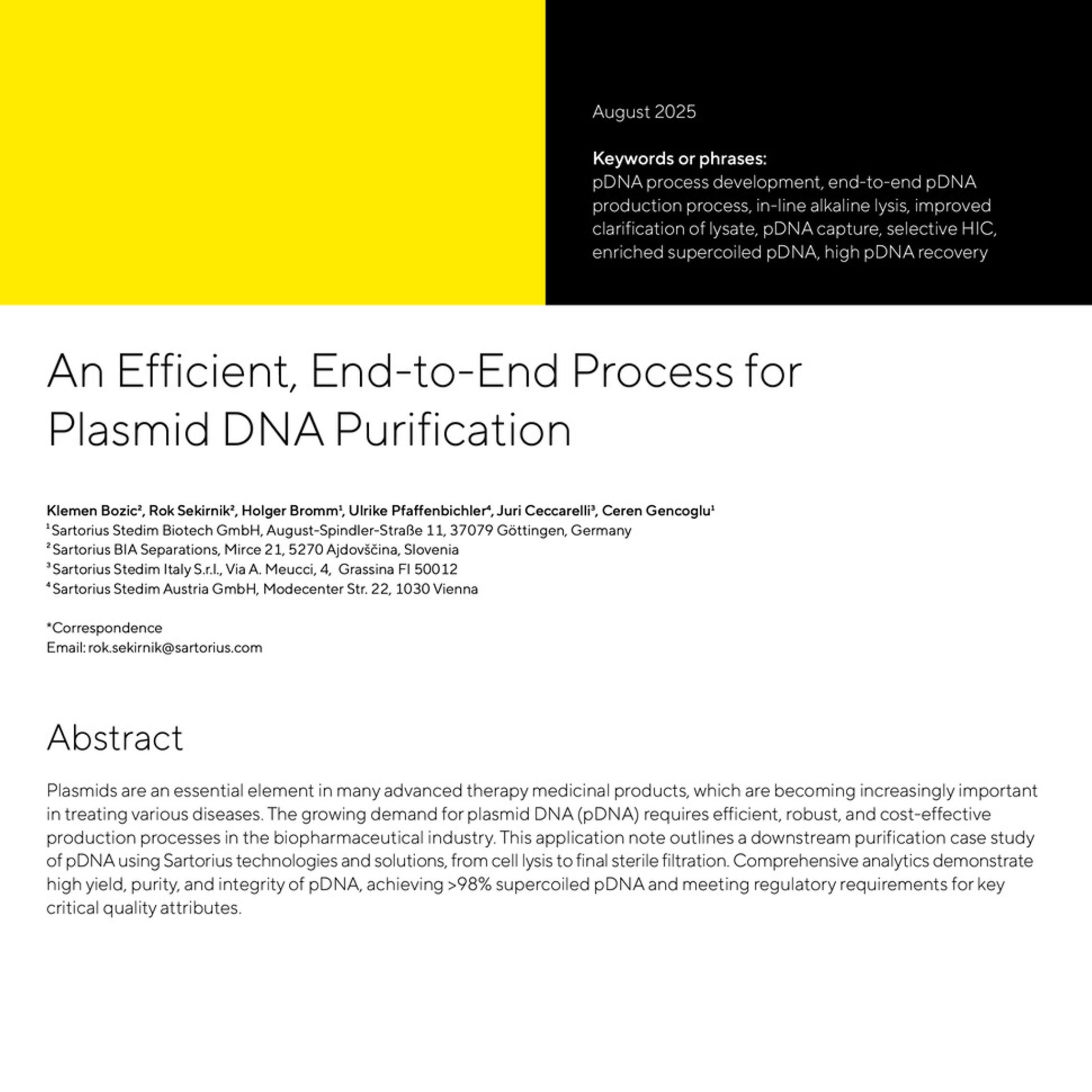 Efficient End-to-End Plasmid DNA Purification