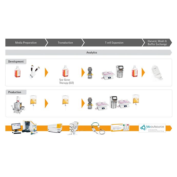 Cellular Immunotherapies | Sartorius