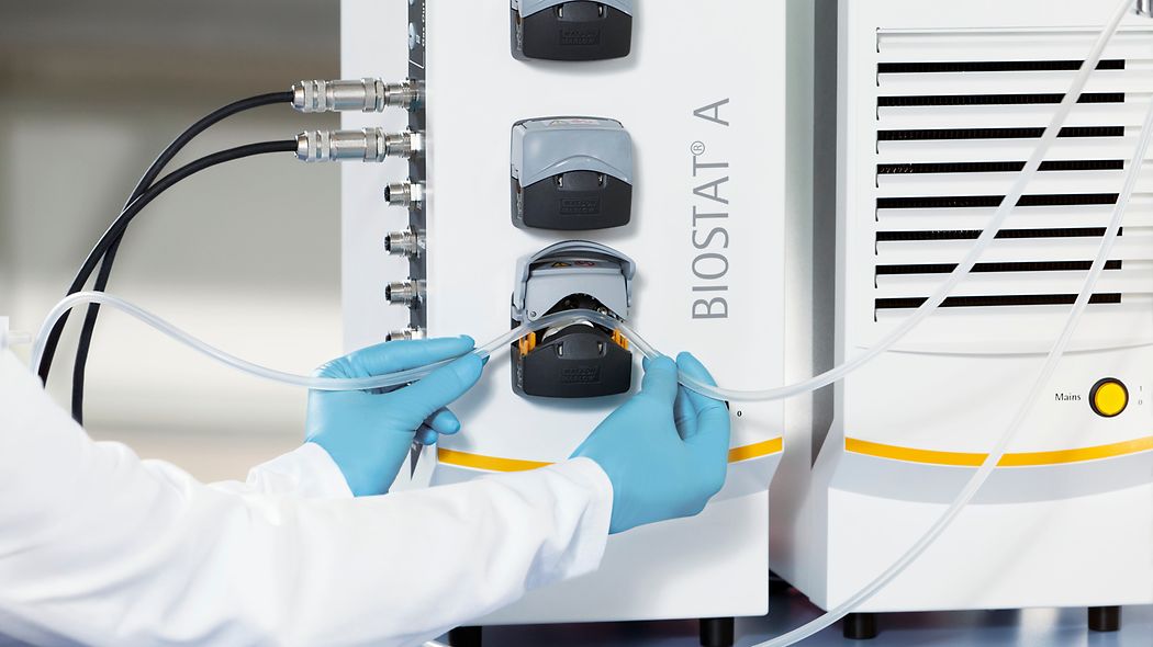 Biostat® A - Entry-level Bioreactor & Fermenter | Sartorius