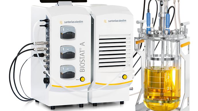 Biostat® A - Entry-level Bioreactor & Fermenter | Sartorius