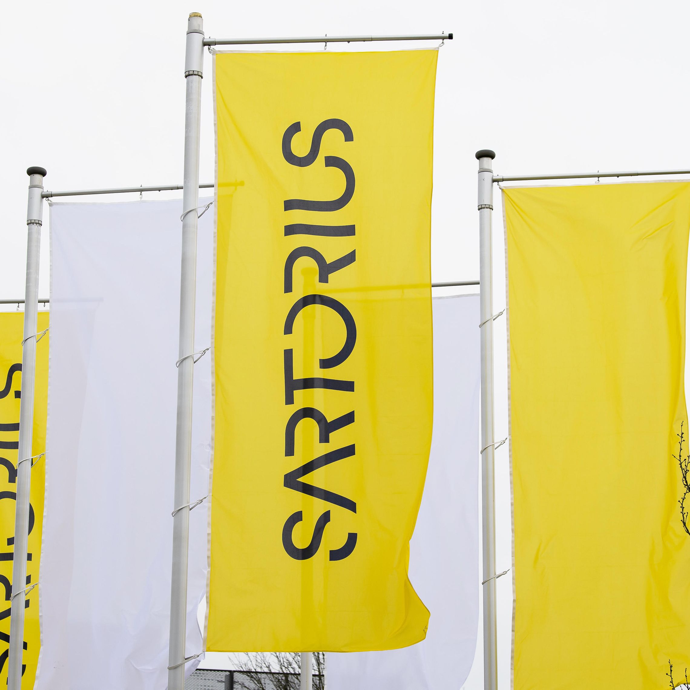 Sartorius reports positive performance in 2019 and looks optimistically ...
