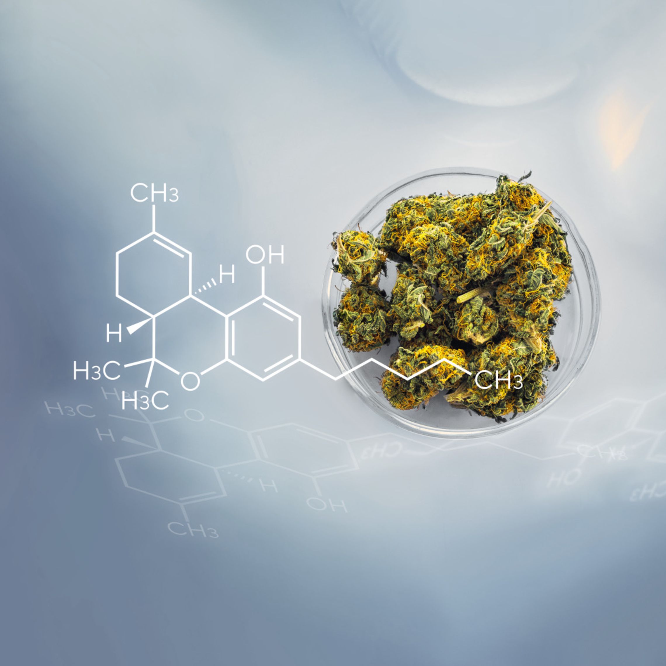 Cannabis Testing Solutions | Quality Control Equipment | Sartorius