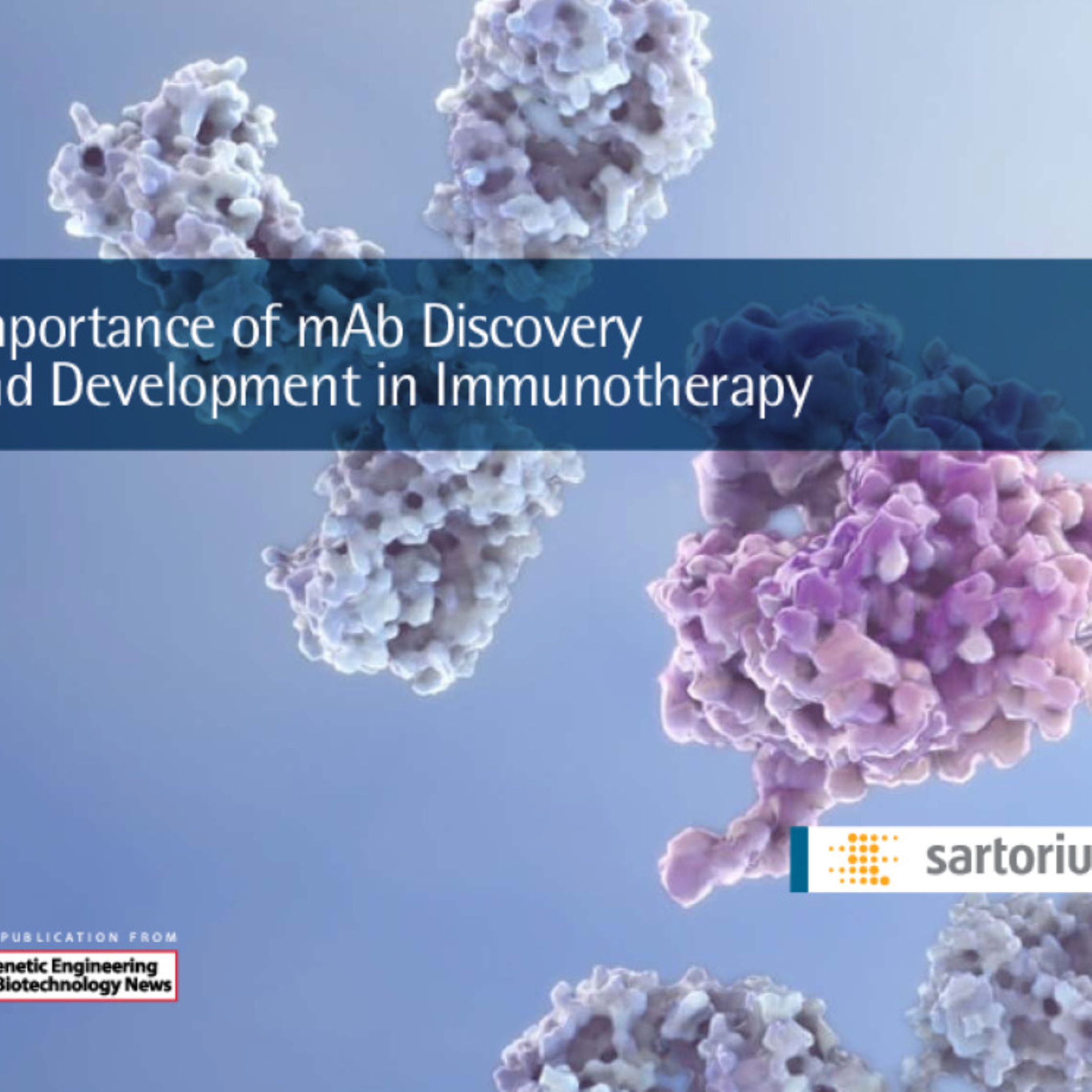 Importance of mAb Discovery and Development in Immunotherapy