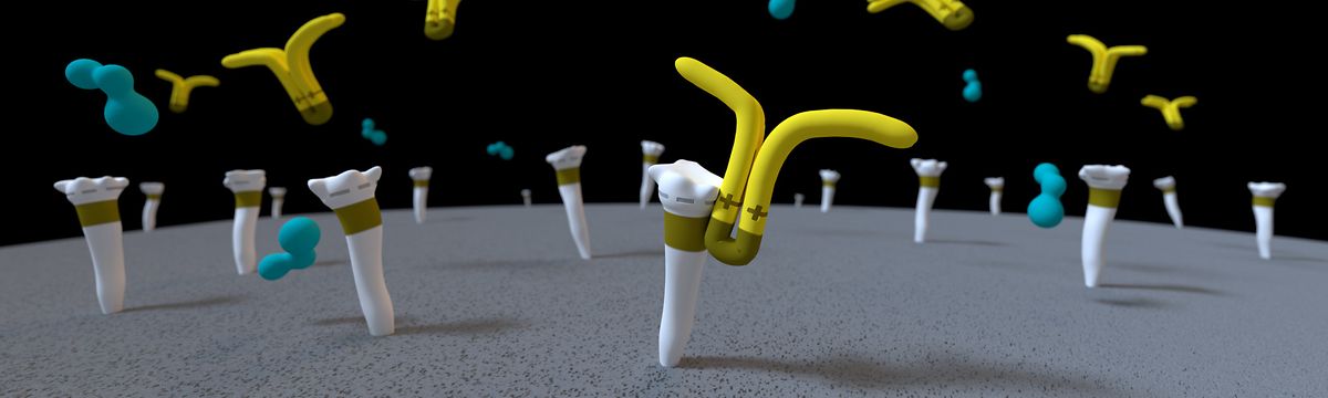 Mixed-Mode Chromatography | Sartorius