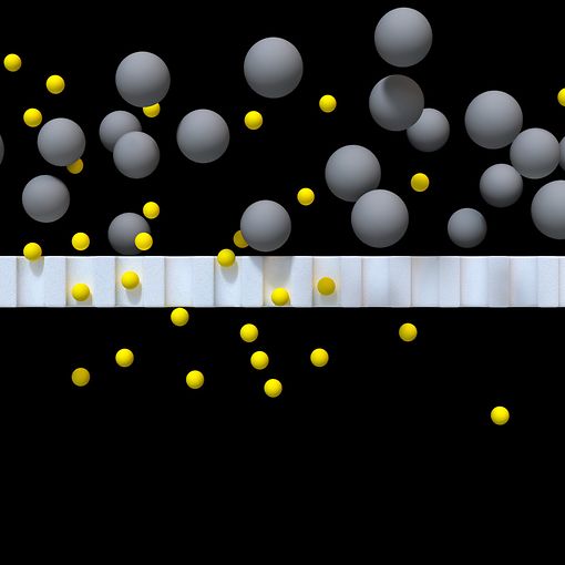 Hollow Fiber TFF | Sartorius