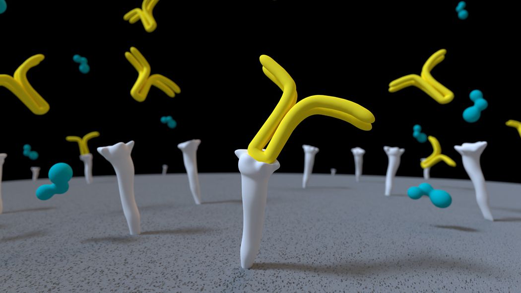 Process Chromatography | Sartorius